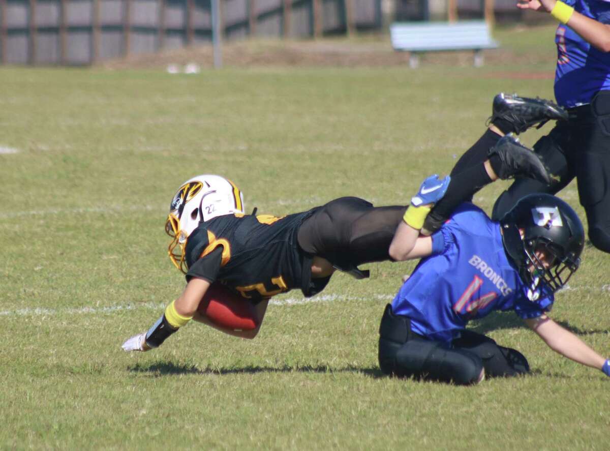 Wealth of Tigers, Seminoles football teams clinch Super Bowl berths