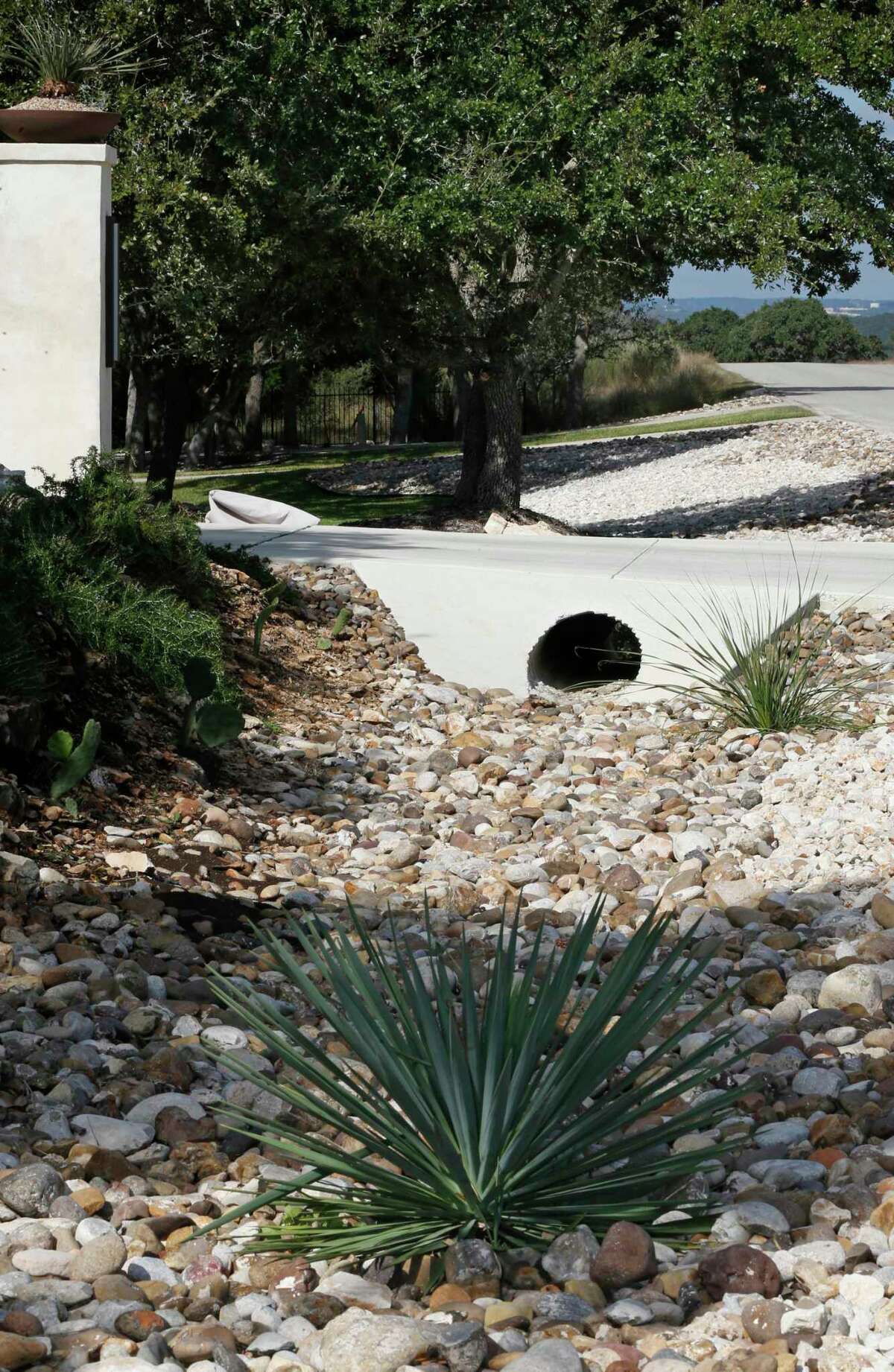 Cocktails and zen: Live oaks, wildflowers, pathways make front yard of ...