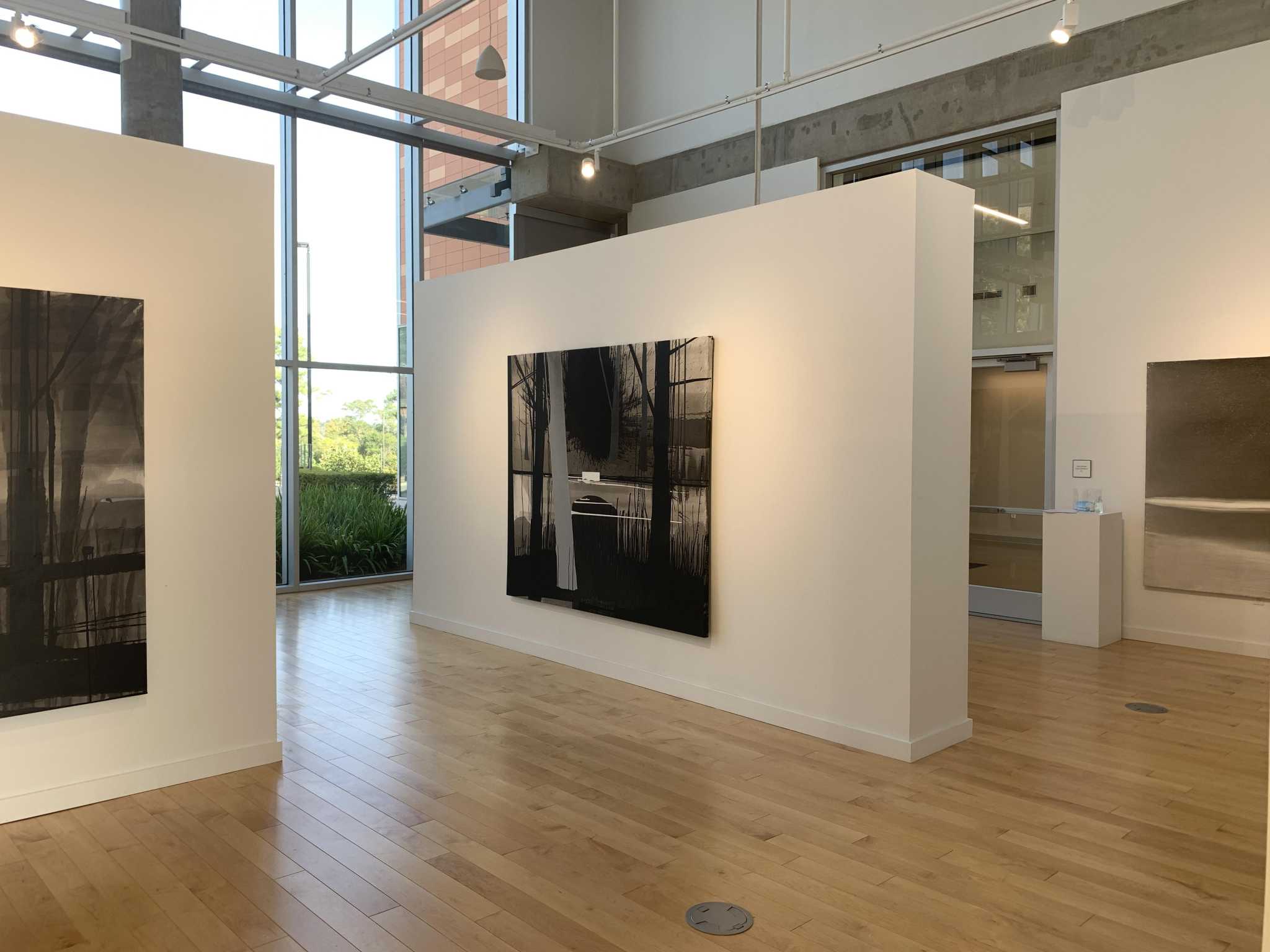 Willis painter leaves viewers questioning reality in new art display