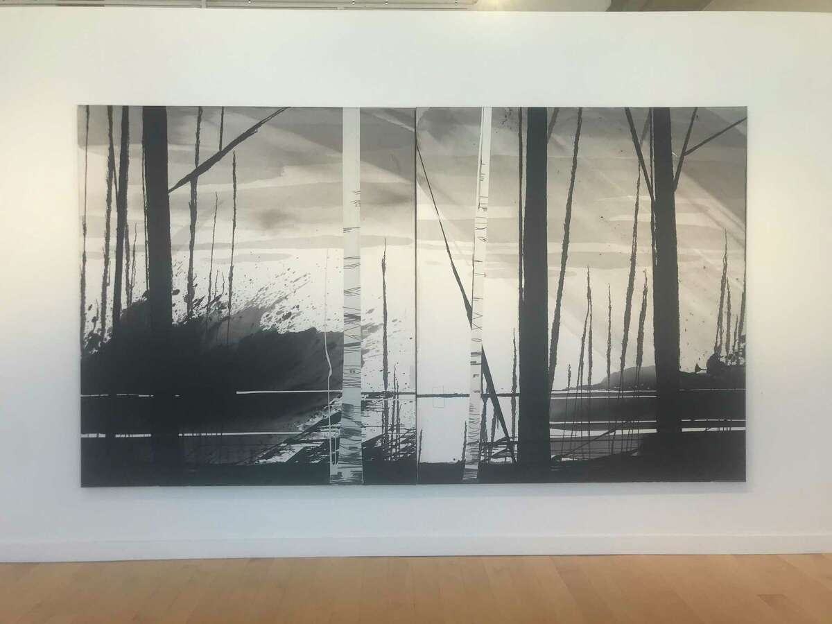 Willis painter leaves viewers questioning reality in new art display