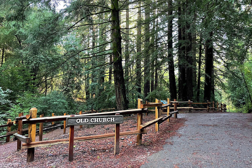 Ladybugs descend on Bay Area park, and it's bizarre and magical