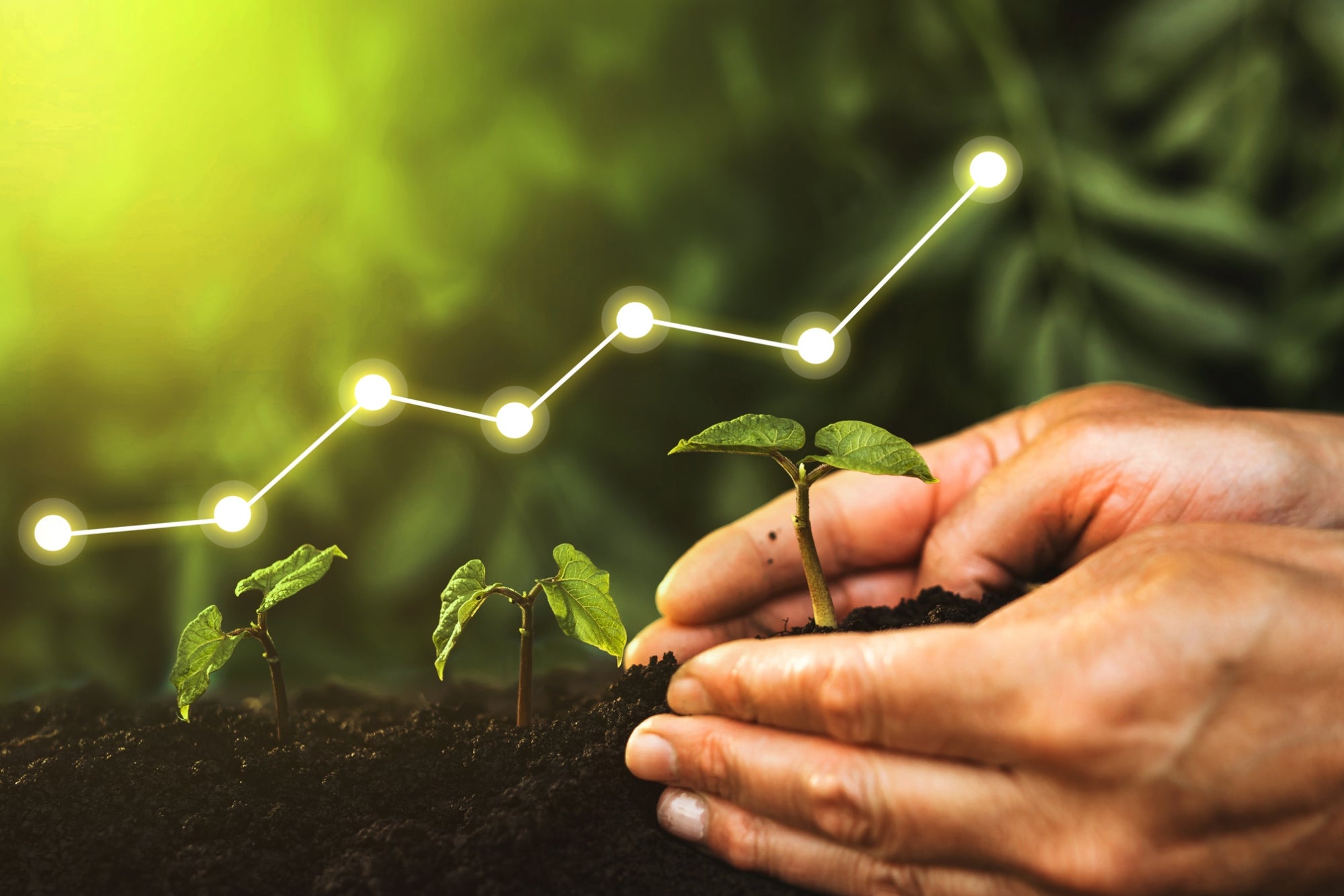 How to Grow Your Business With Intention