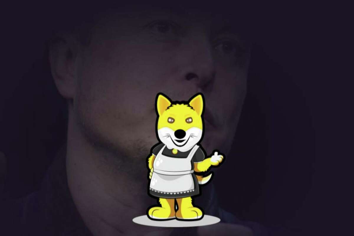 Meet DOGEY, the new cryptocurrency that will help abandoned dogs