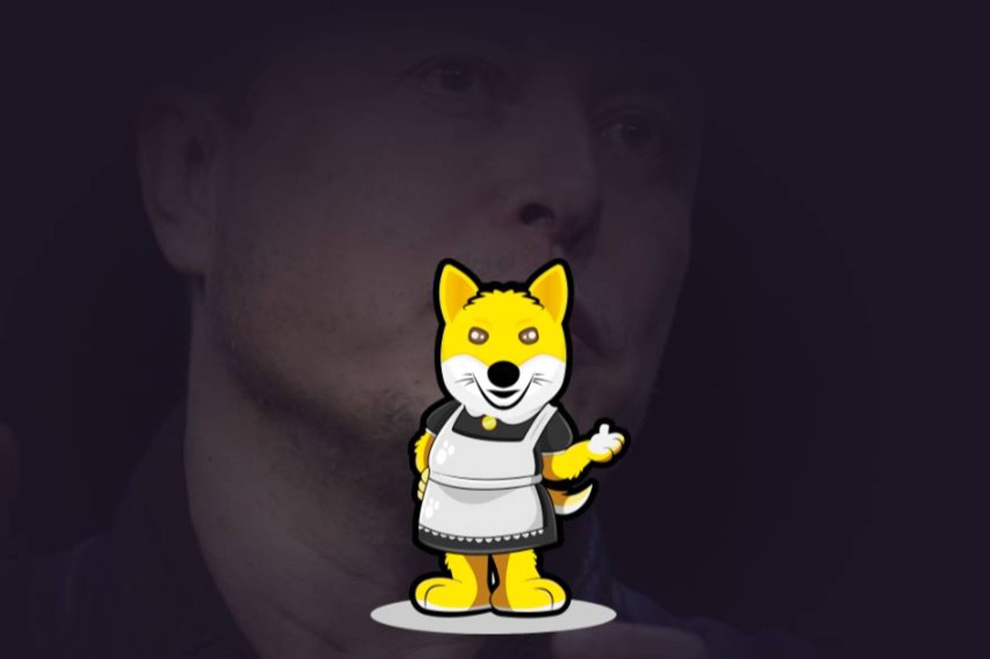 Meet DOGEY, the new cryptocurrency that will help abandoned dogs