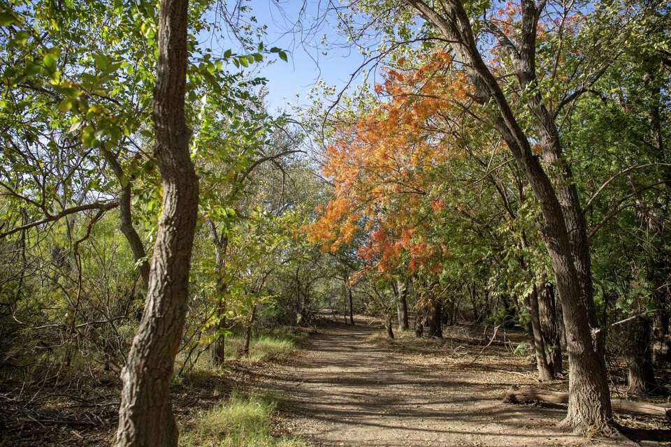 Wildlife Preserve's Conservation Job Corps program begins this week