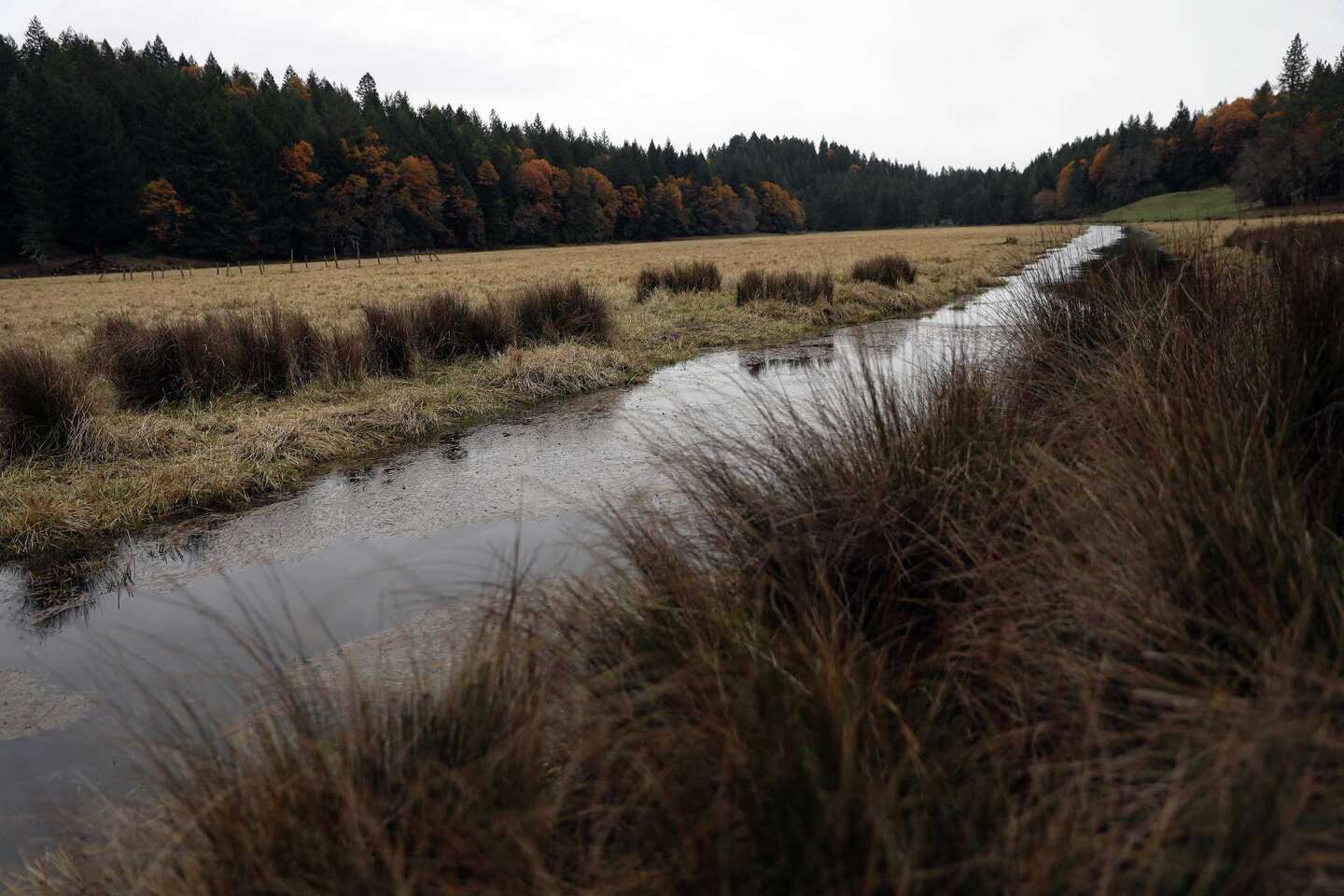 ‘A spectacular landscape’ — California ranch of late finance giant Dean ...