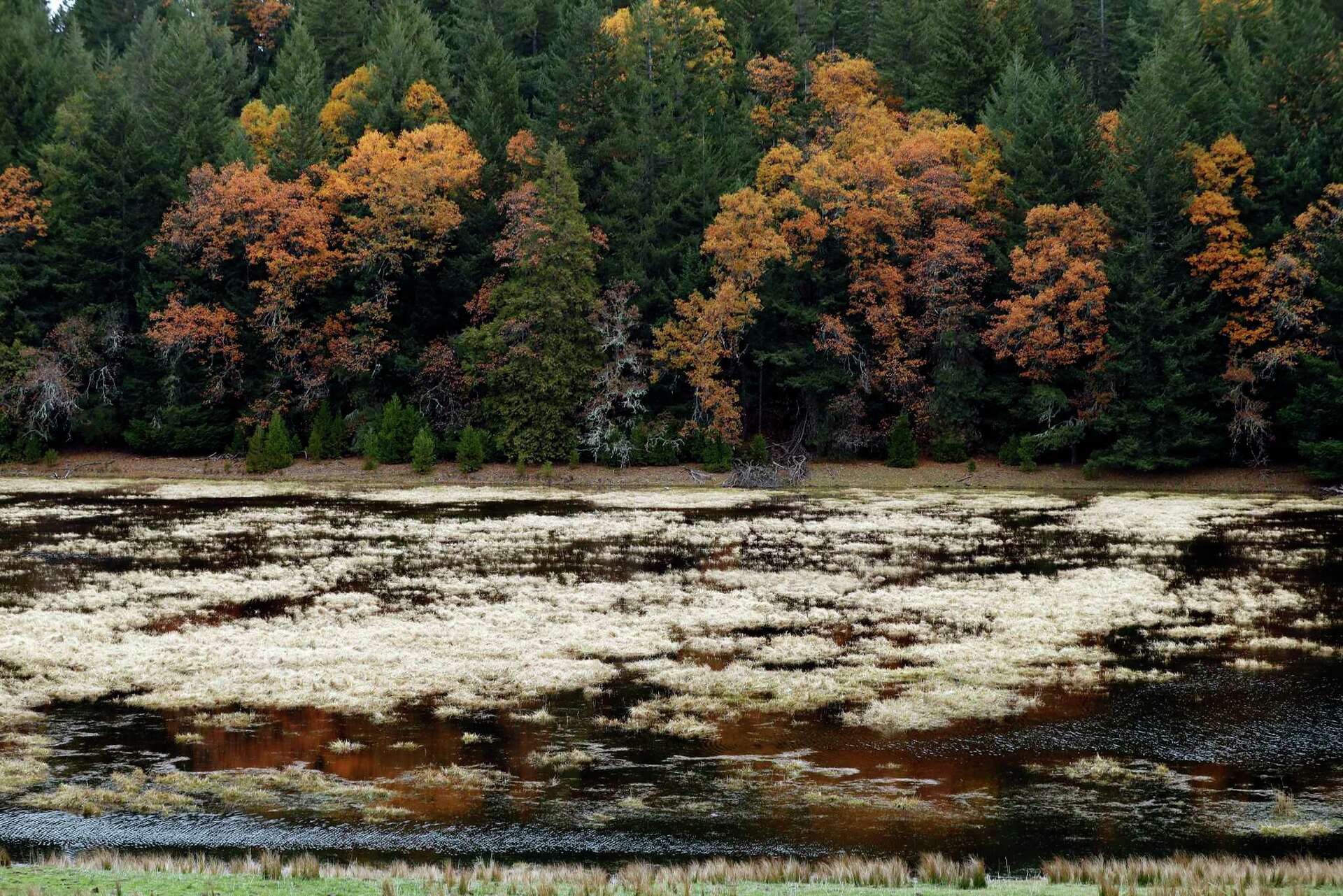 ‘A spectacular landscape’ — California ranch of late finance giant Dean ...