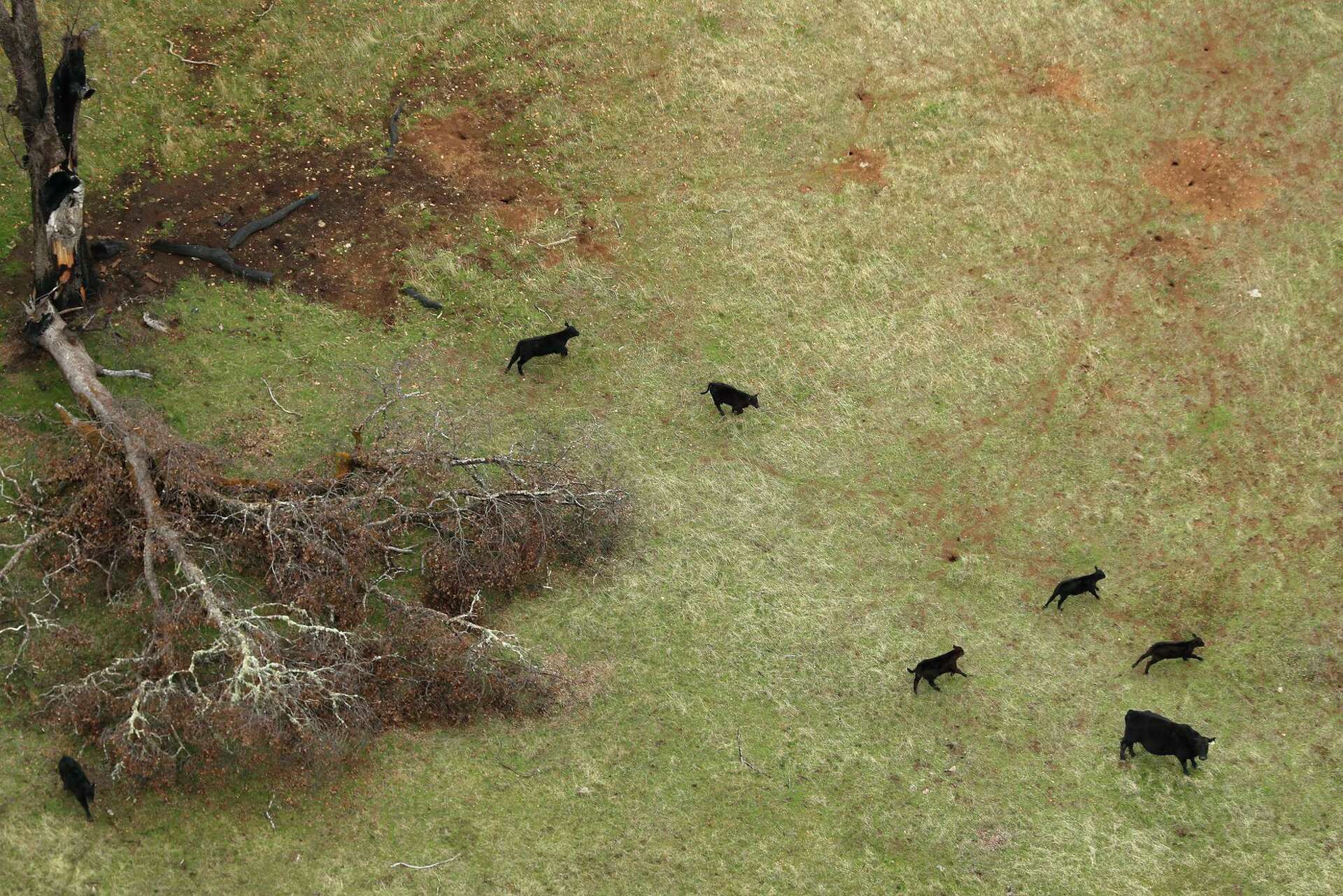 ‘A spectacular landscape’ — California ranch of late finance giant Dean ...