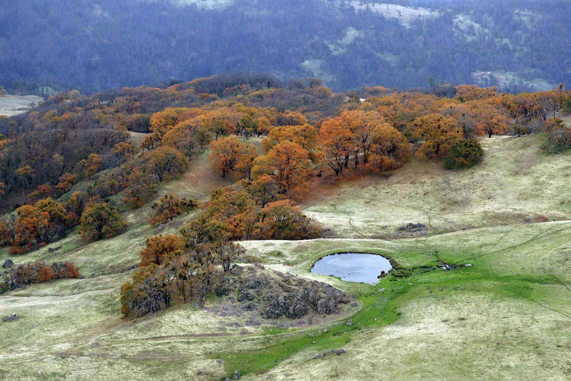 ‘A spectacular landscape’ — California ranch of late finance giant Dean ...