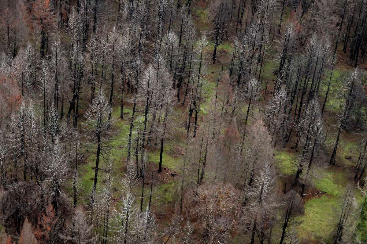 ‘A spectacular landscape’ — California ranch of late finance giant Dean ...