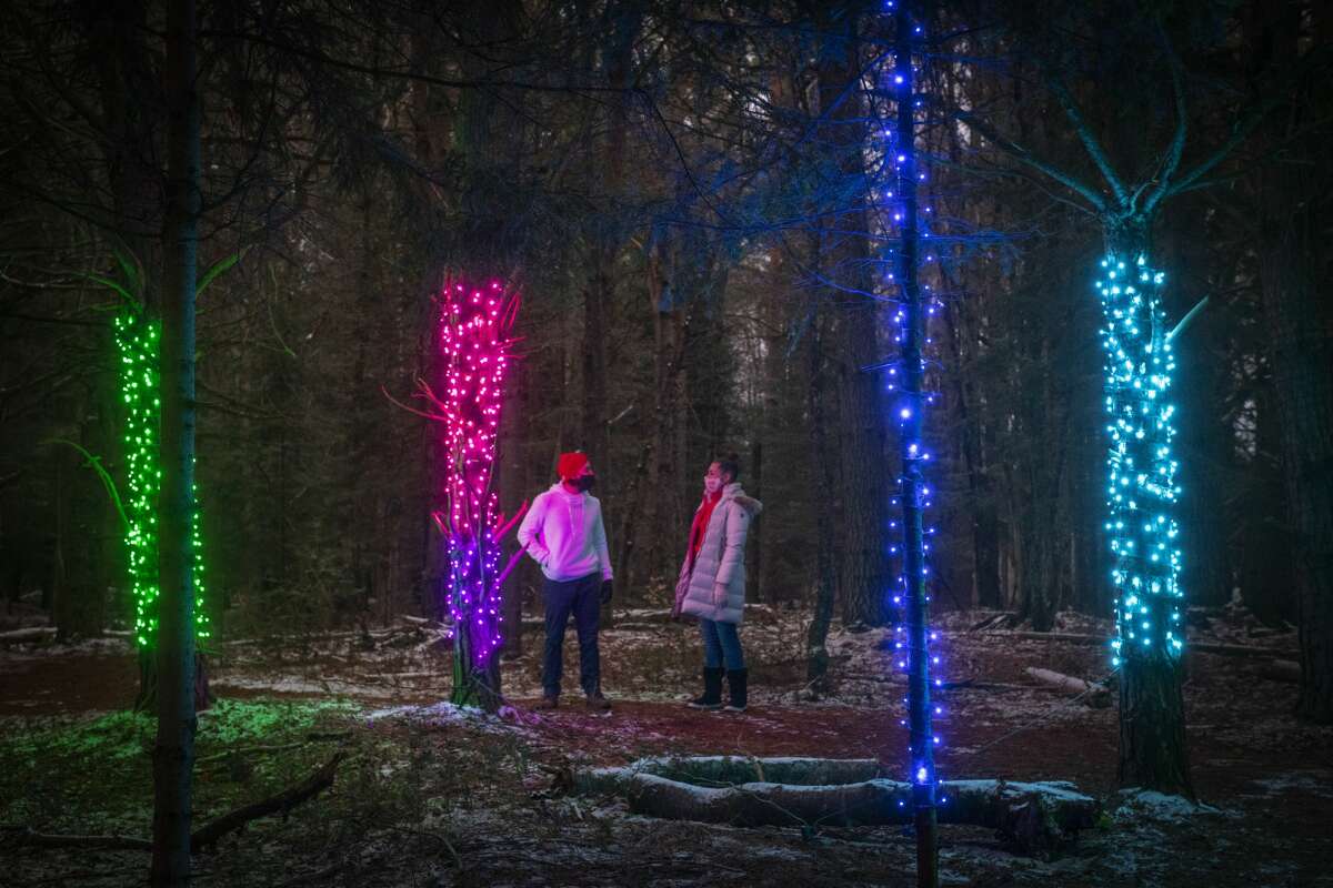 Holiday lights at the Wild Center in Tupper Lake