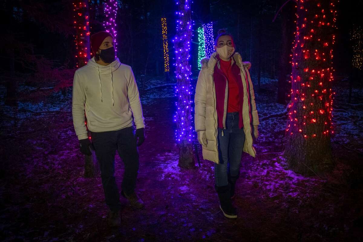 Holiday lights at the Wild Center in Tupper Lake