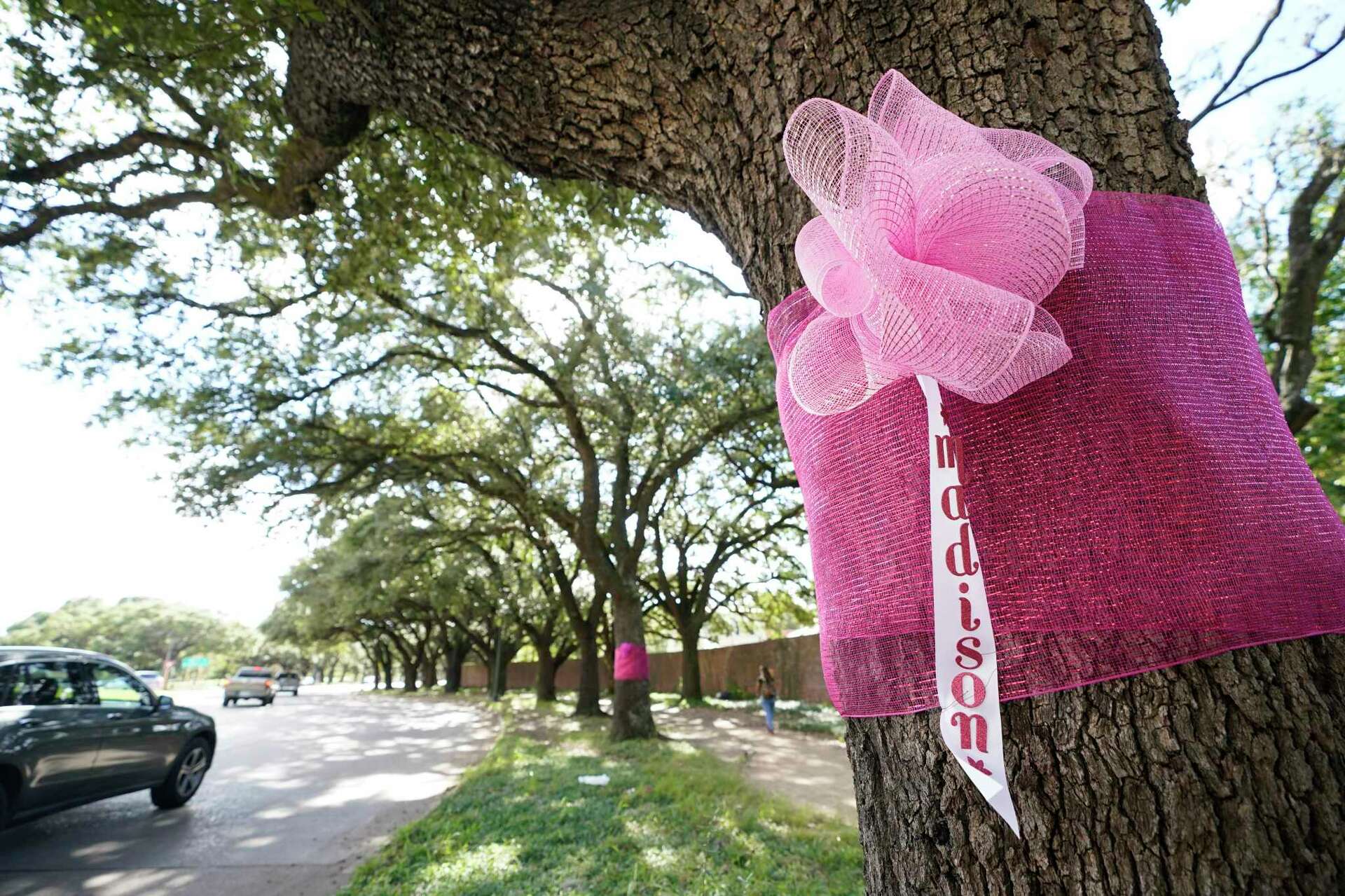 Thousands of pink bows are 'glimmer of light' for family of Astroworld ...