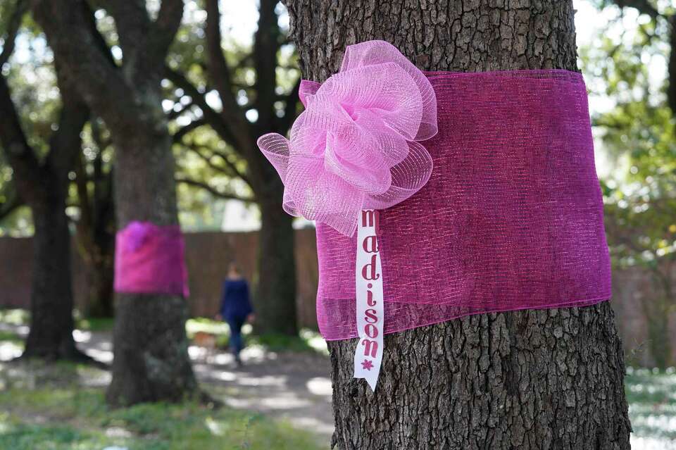 Thousands of pink bows are 'glimmer of light' for family of Astroworld ...