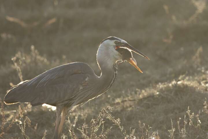 The National Park Service refuses to fix Point Reyes