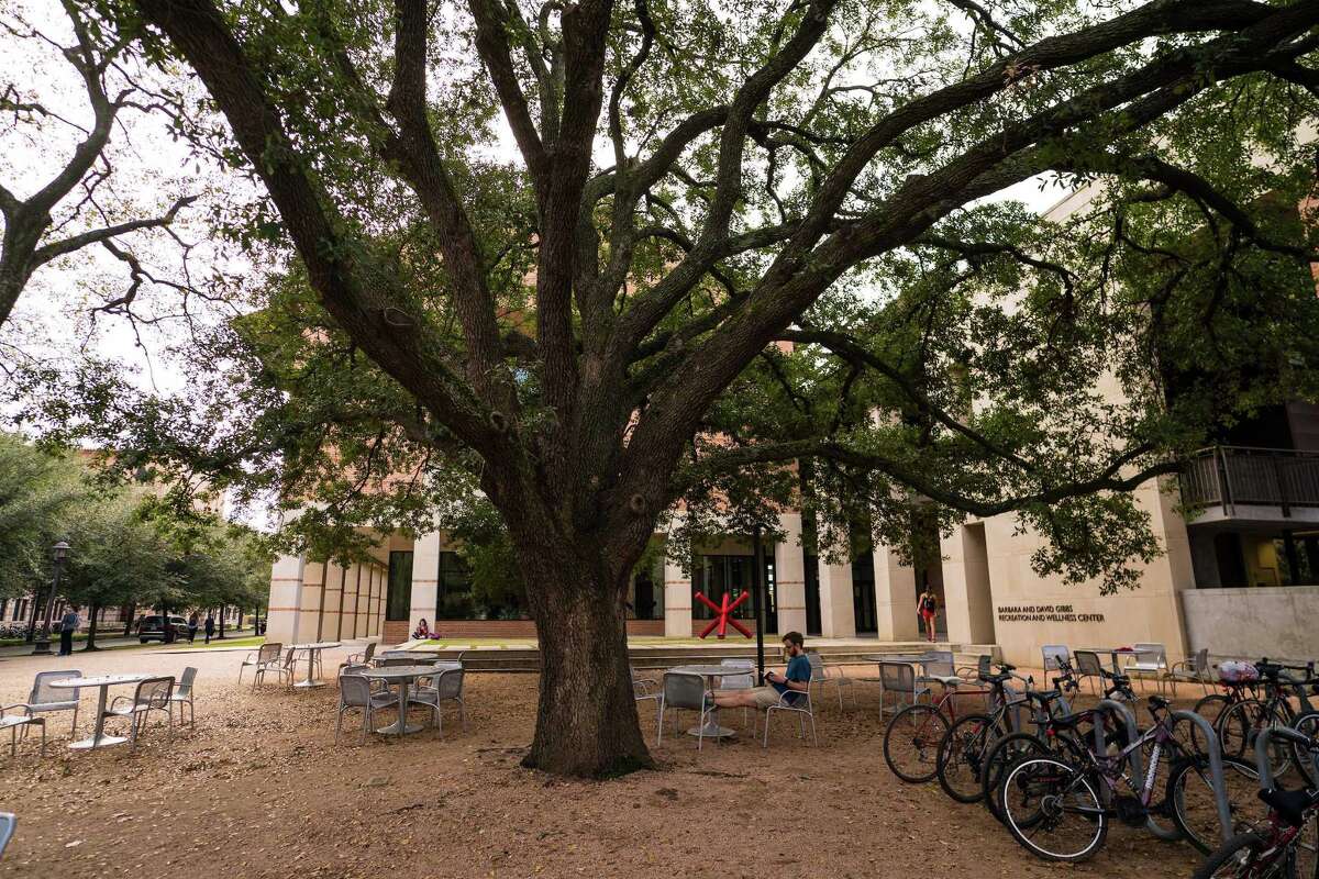Baytown native reveals architectural plans for new Sarofim Hall at Rice ...