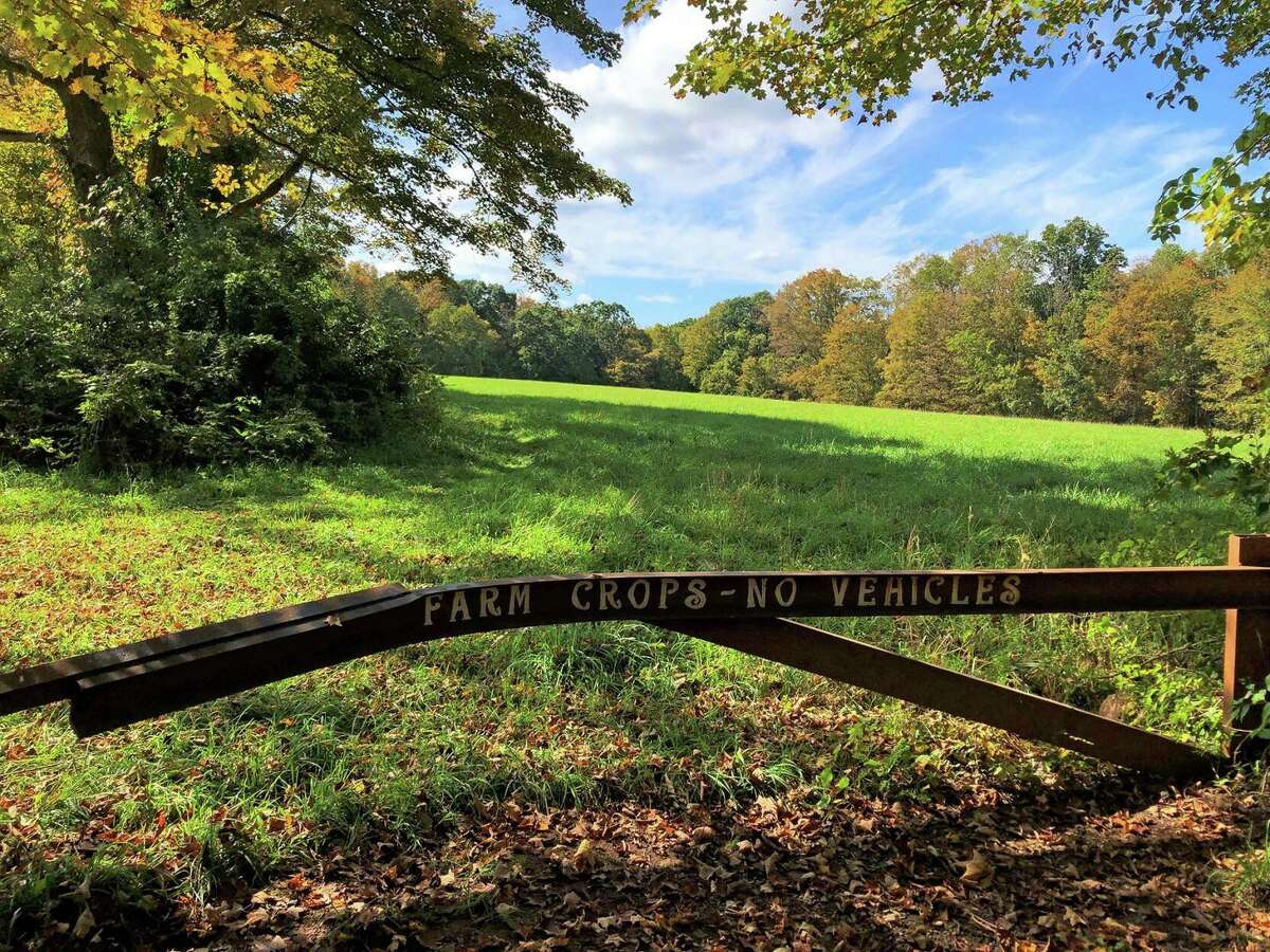 Hiking column: Tyler Mill Preserve boasts variety and challenges over ...