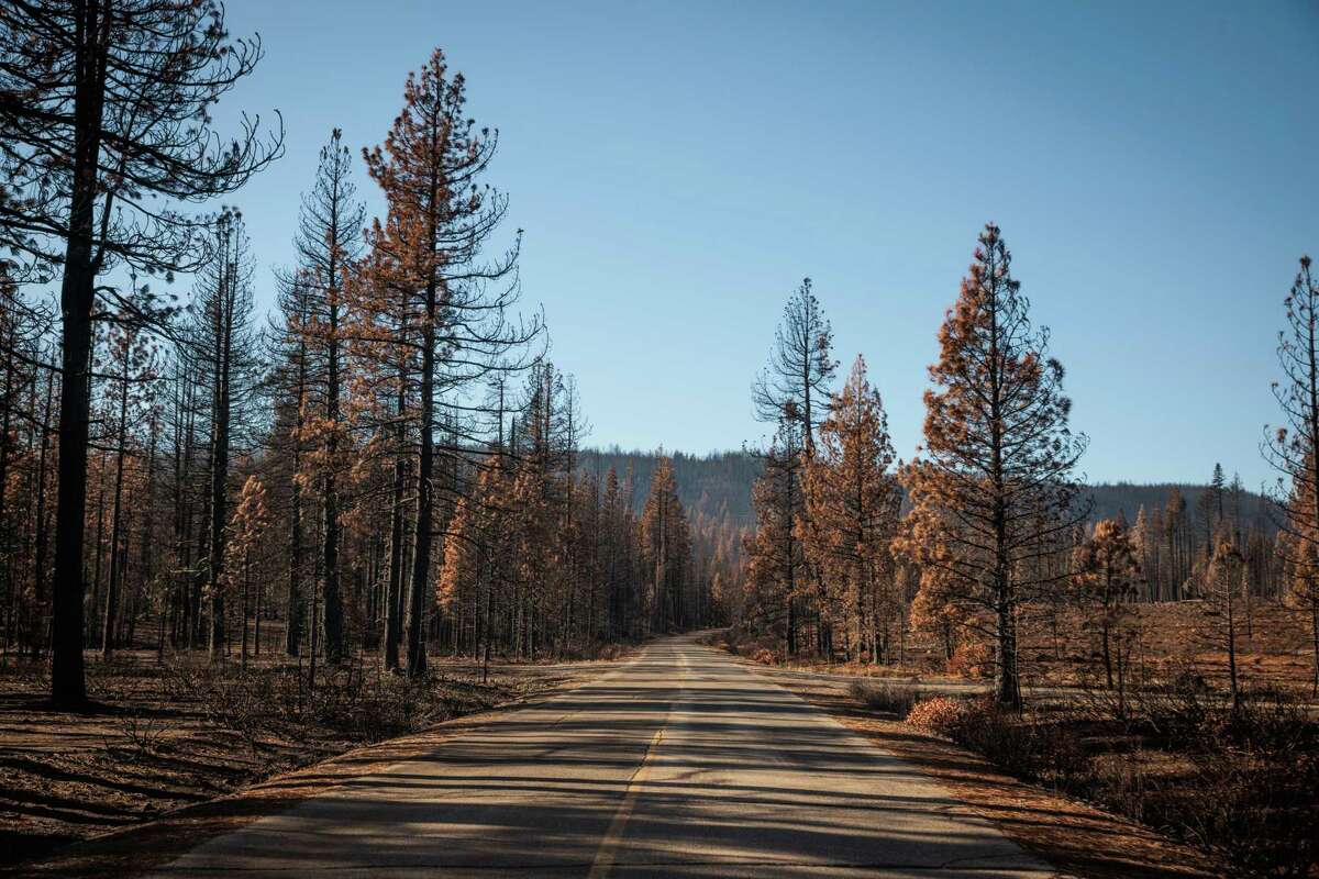 California wildfire fallout: Timber industry confronted by too many ...