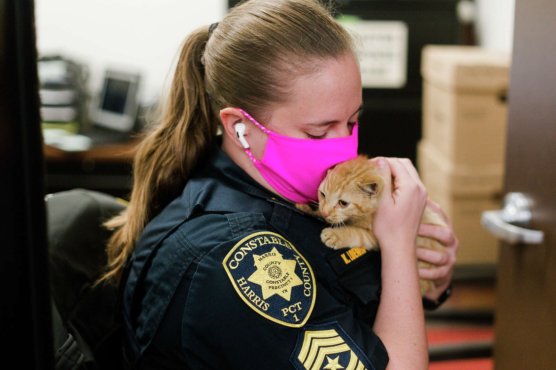 Houston rescuers spend 6 hours retrieving trapped kitten from freeway ...