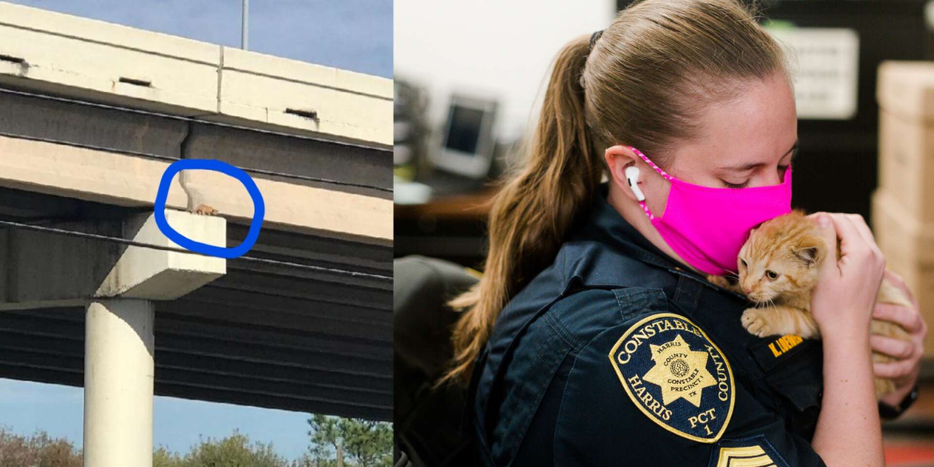 Houston rescuers spend 6 hours retrieving trapped kitten from freeway ...