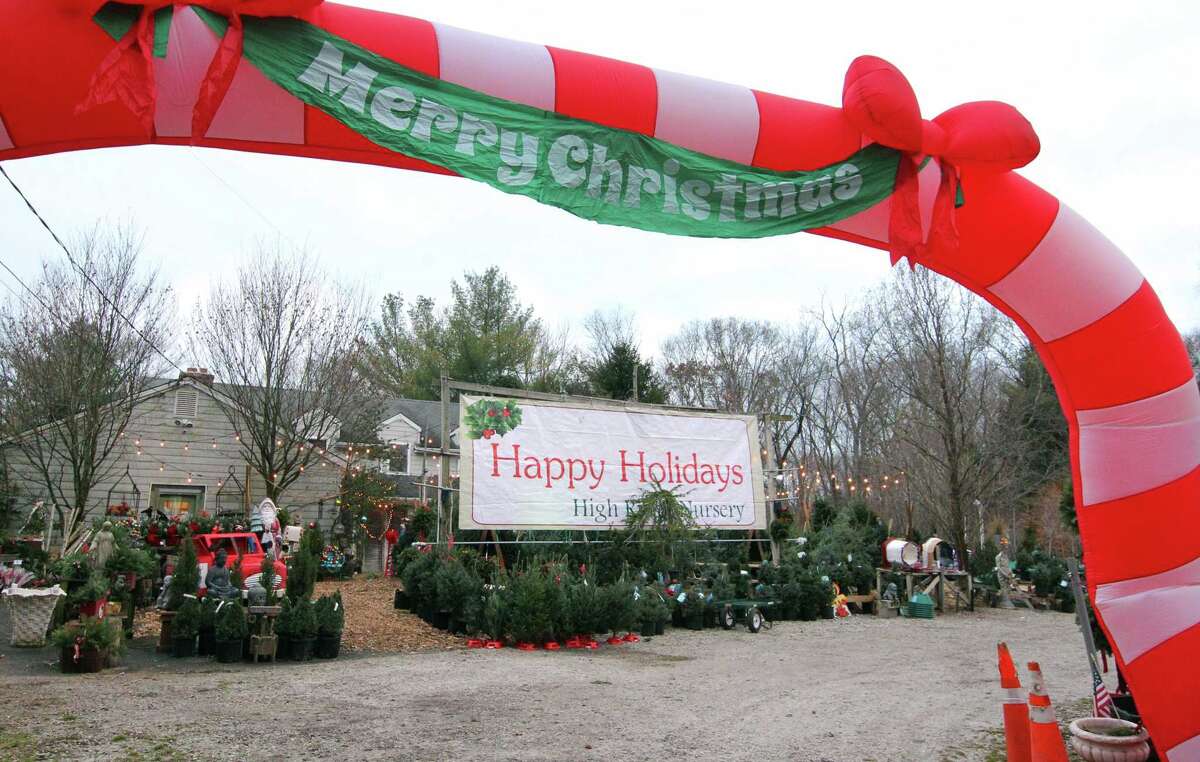 Looking to get a Christmas tree in Stamford? Here are some options.