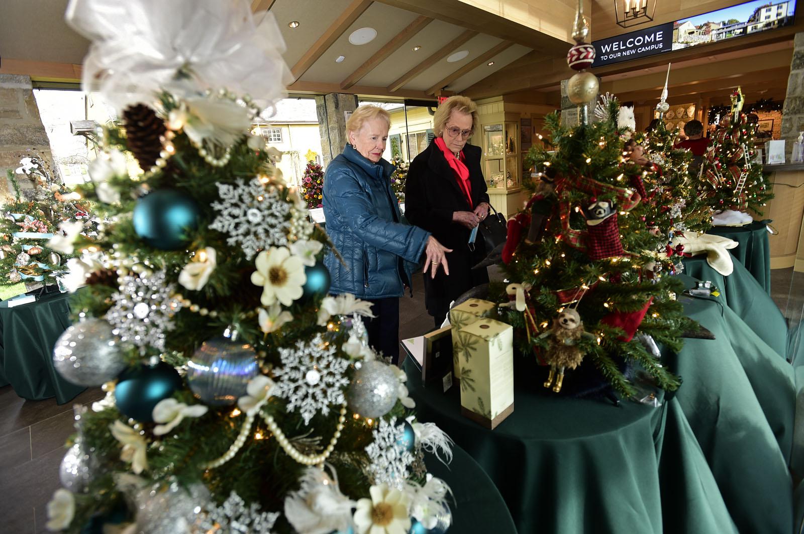 In Photos: Tiny ‘Tabletop Trees’ turn Greenwich Historical Society ...