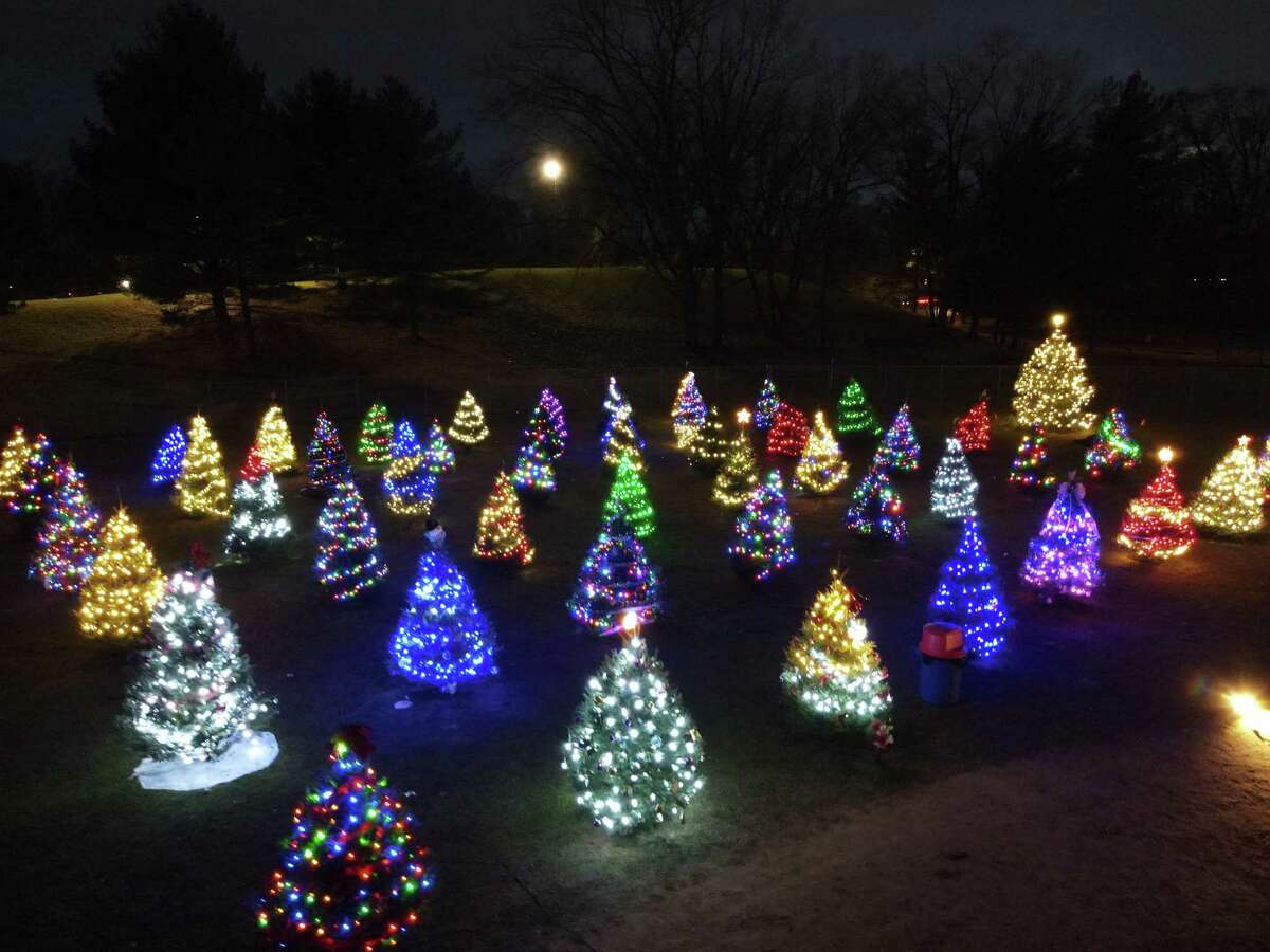Display of holiday trees remembers the dearly departed
