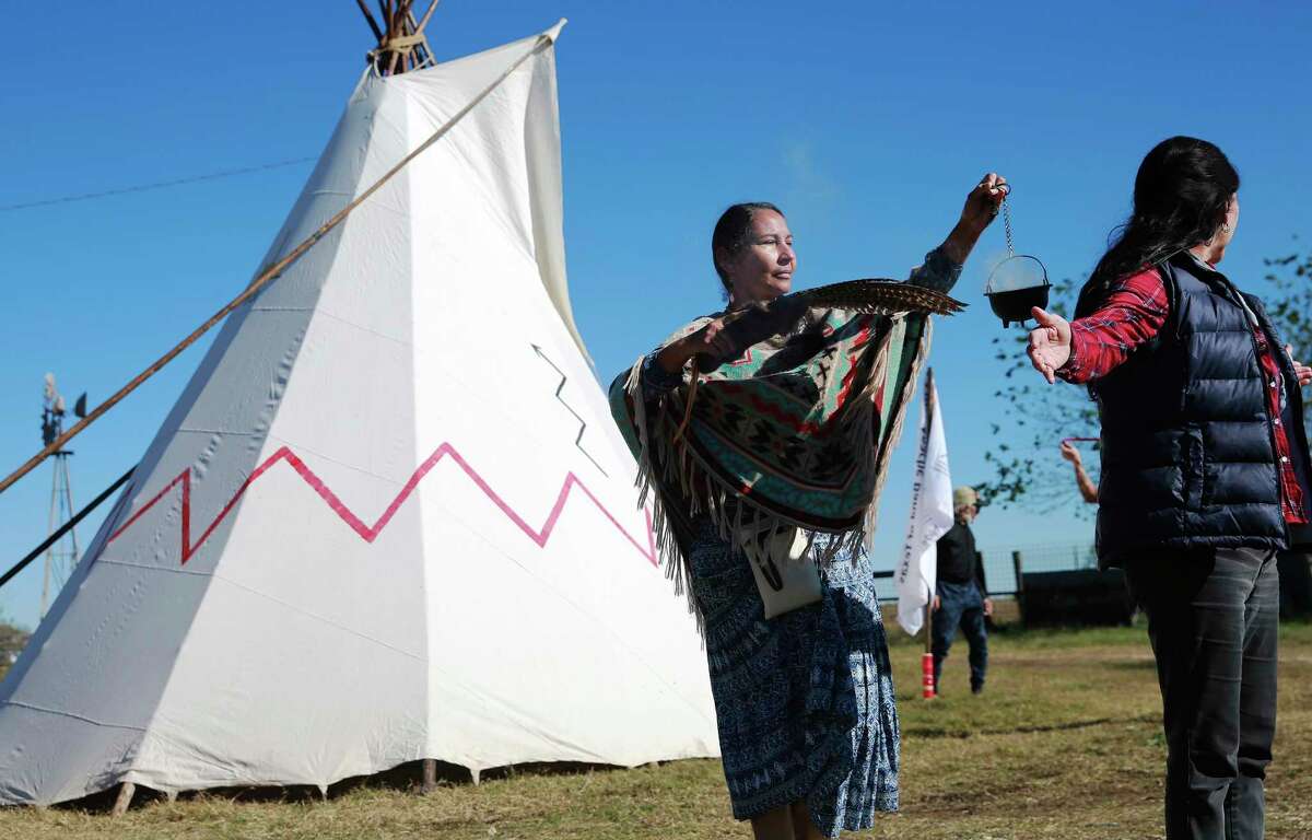After over century, first herd of buffalo return to native lands of ...