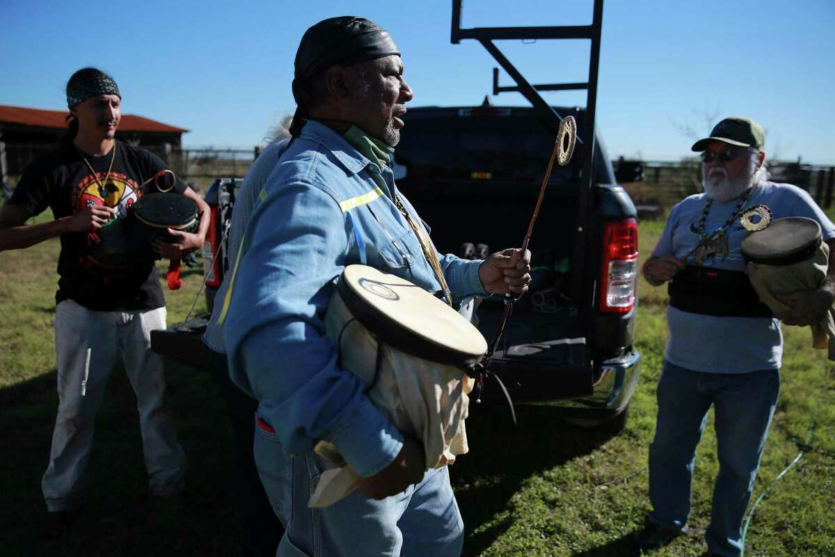 After over century, first herd of buffalo return to native lands of ...