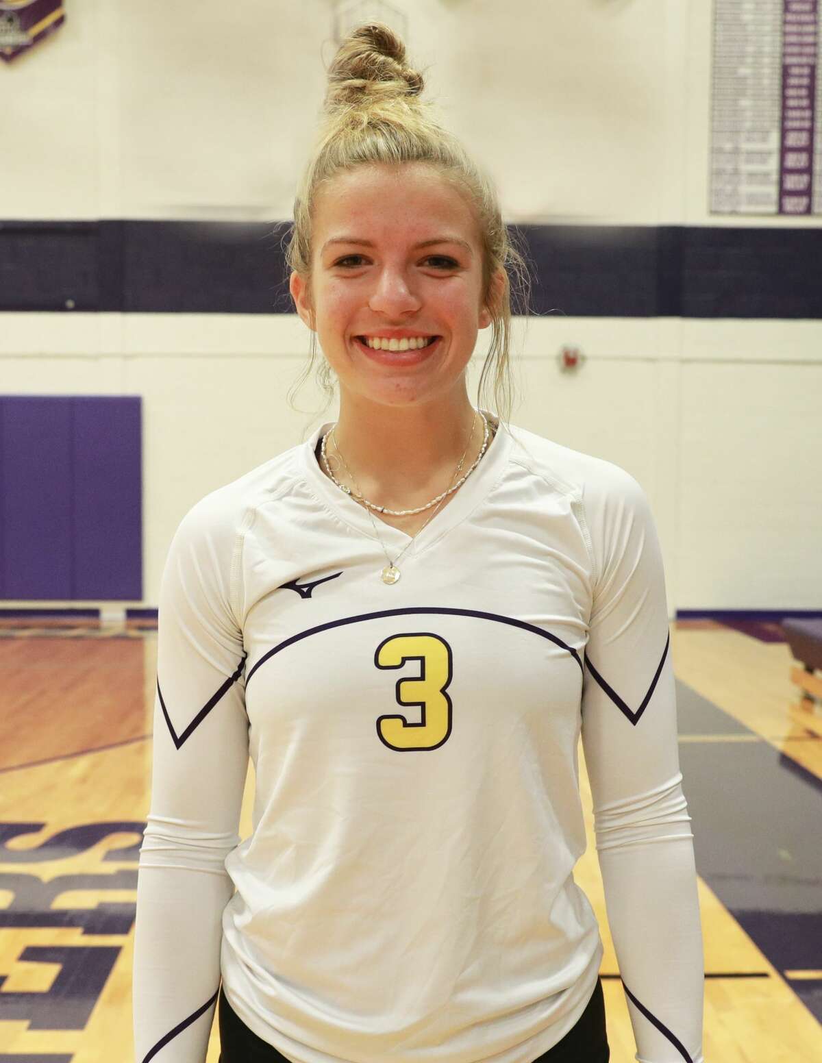 Thumb Sportswriters Association announces All-Thumb Volleyball team