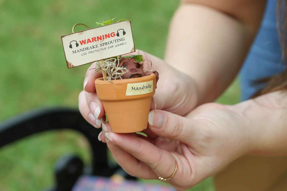 'Harry Potter Church' invites the public to Hogwarts Christmas Village ...