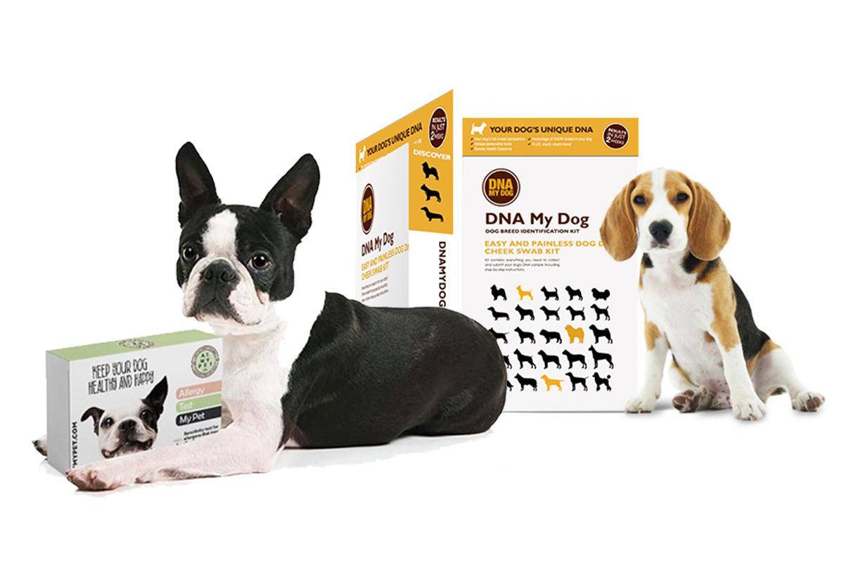 This holiday, treat your dog to better health with this DNA and Allergy ...