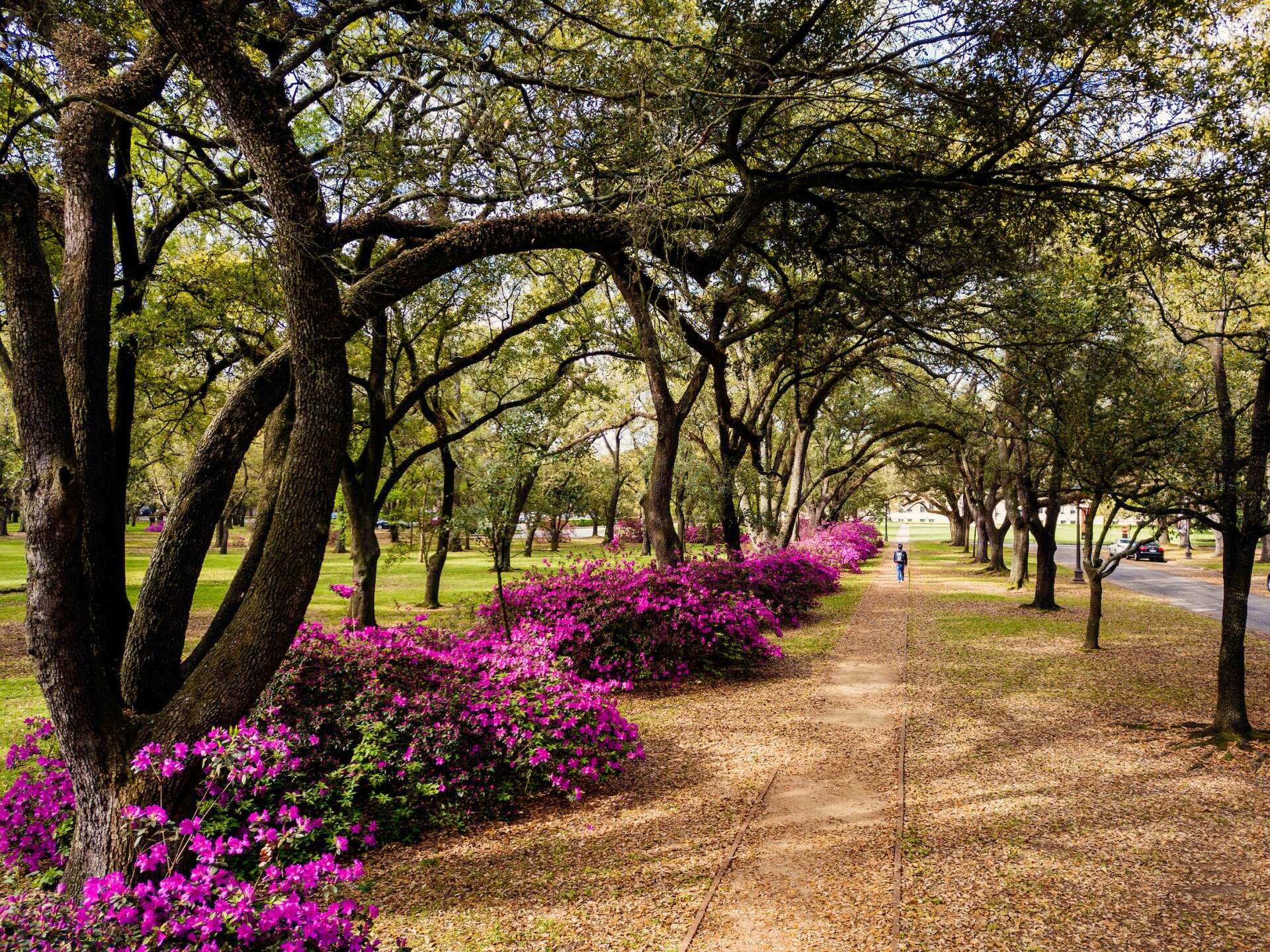 Houston's best trails and paths for a workout with a view