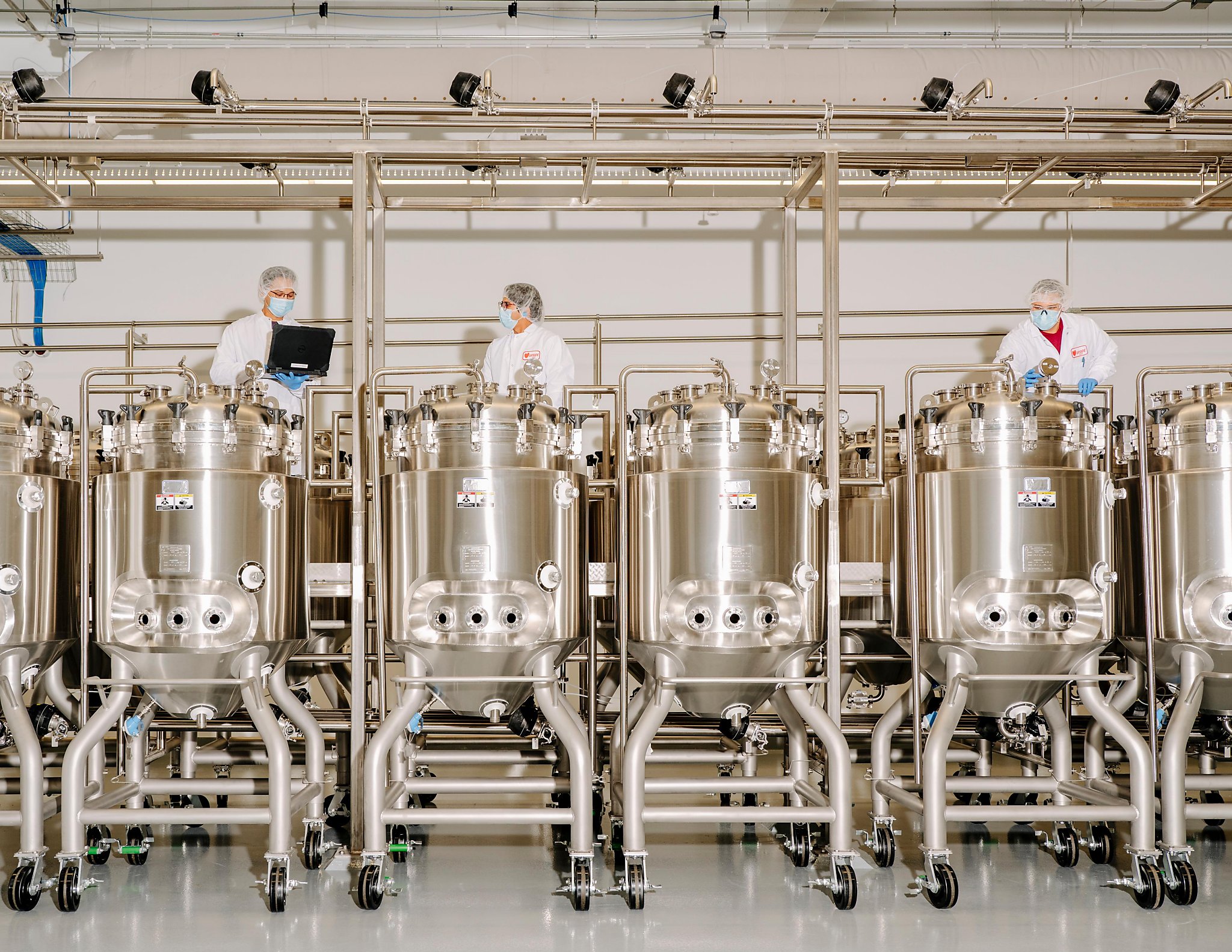 Will diners bite on lab-grown meat? A first taste of cultured chicken