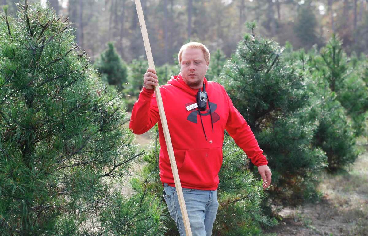 After Move To Country Conroe Couple Opens New Christmas Tree Farm