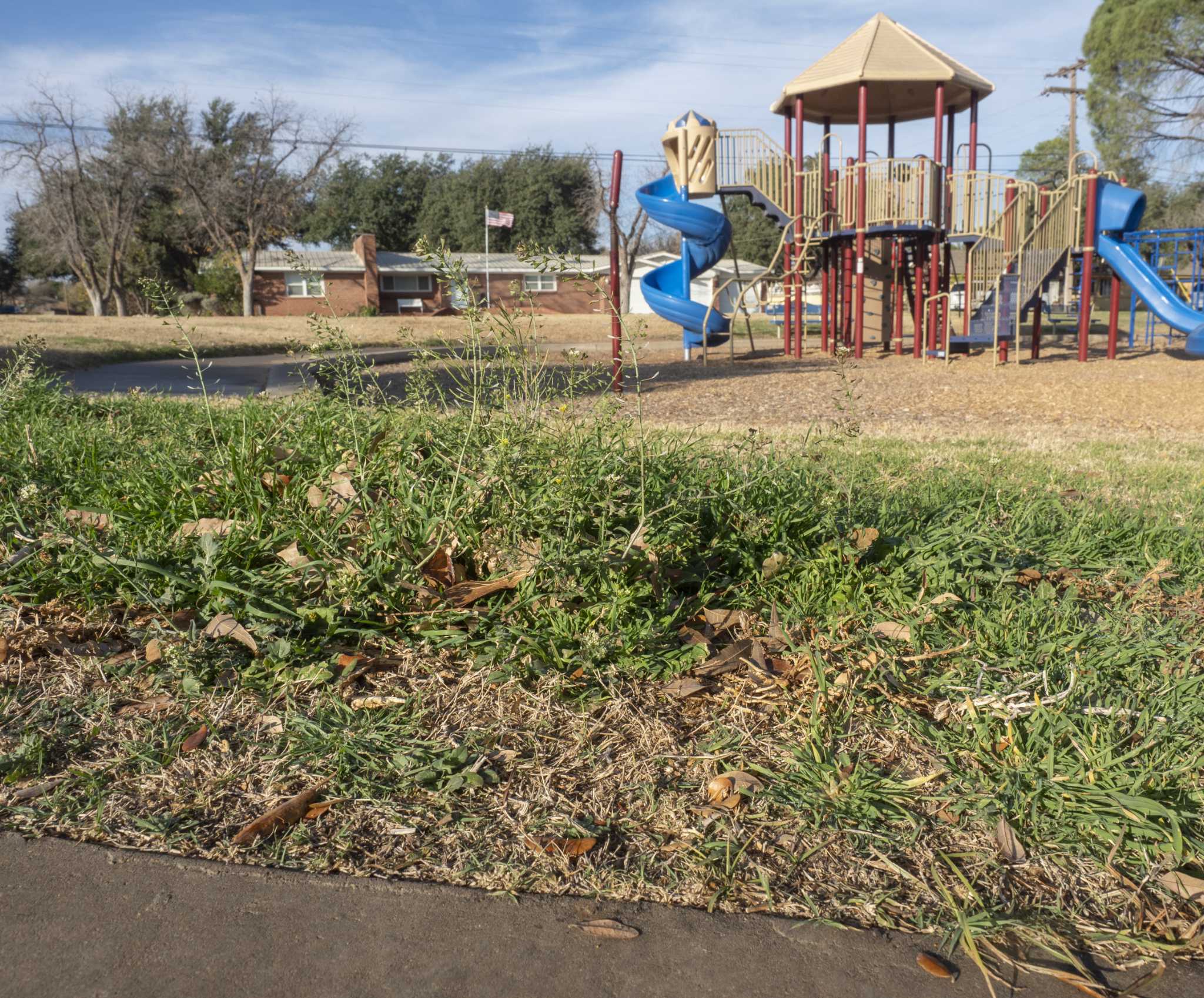Council to determine proper parks maintenance option
