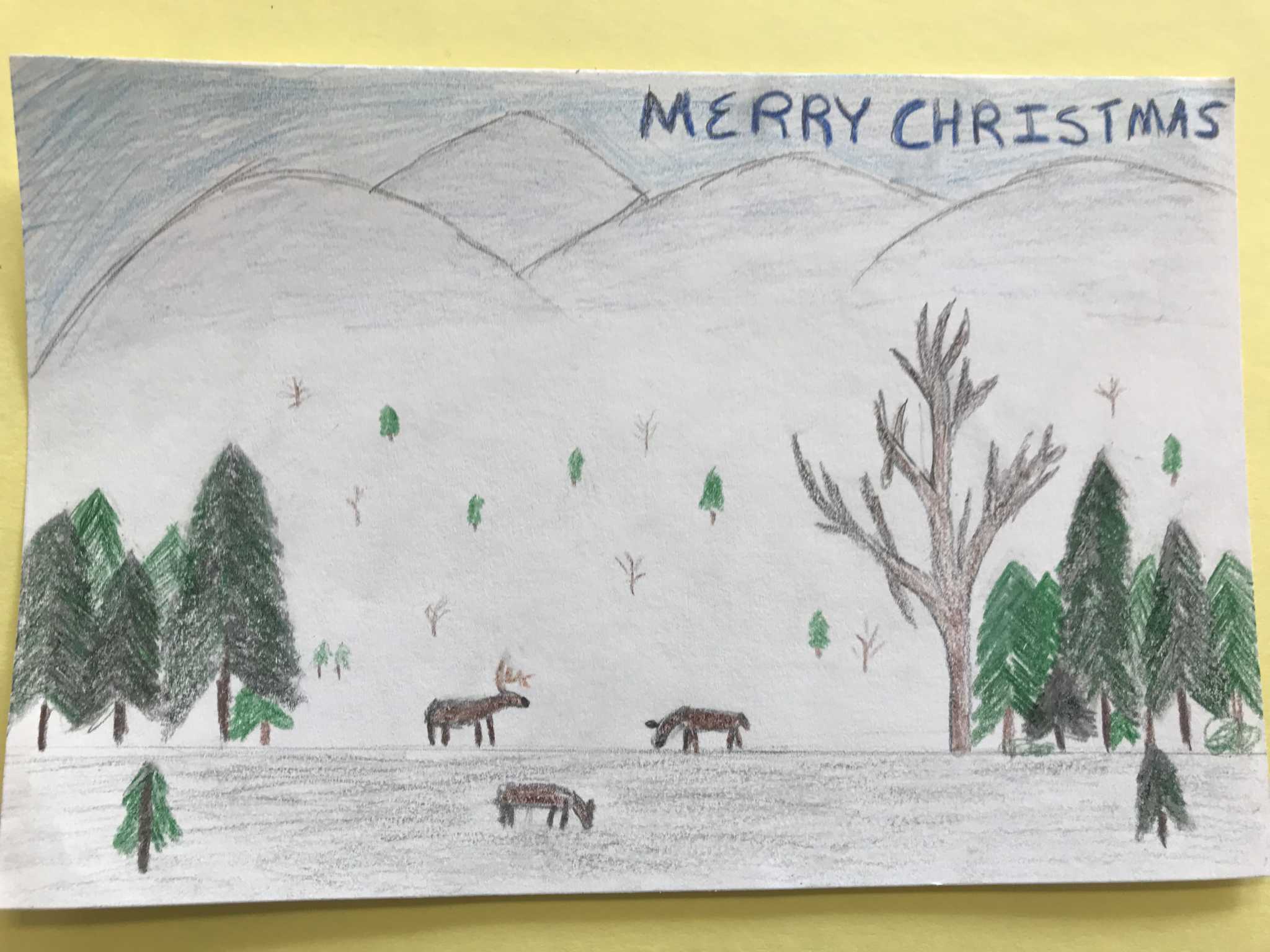 2021 Holiday Card Contest winner, finalists