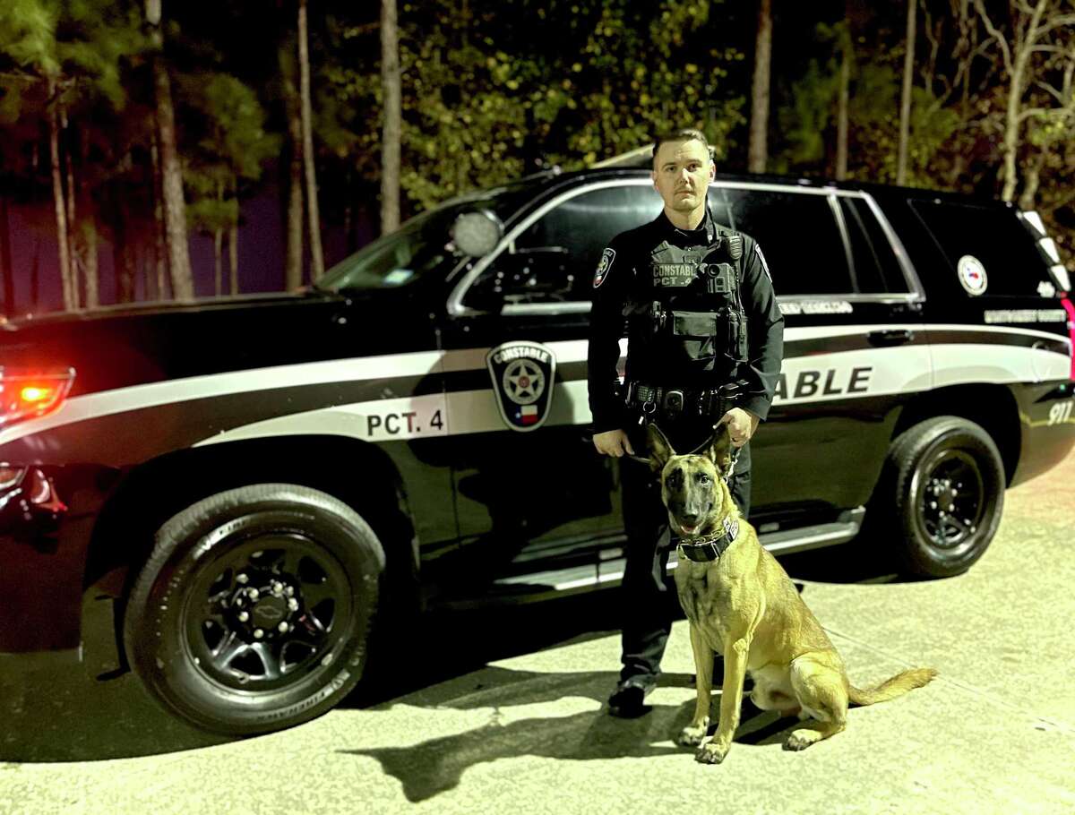 Alleged New Caney Walmart robber caught by K-9