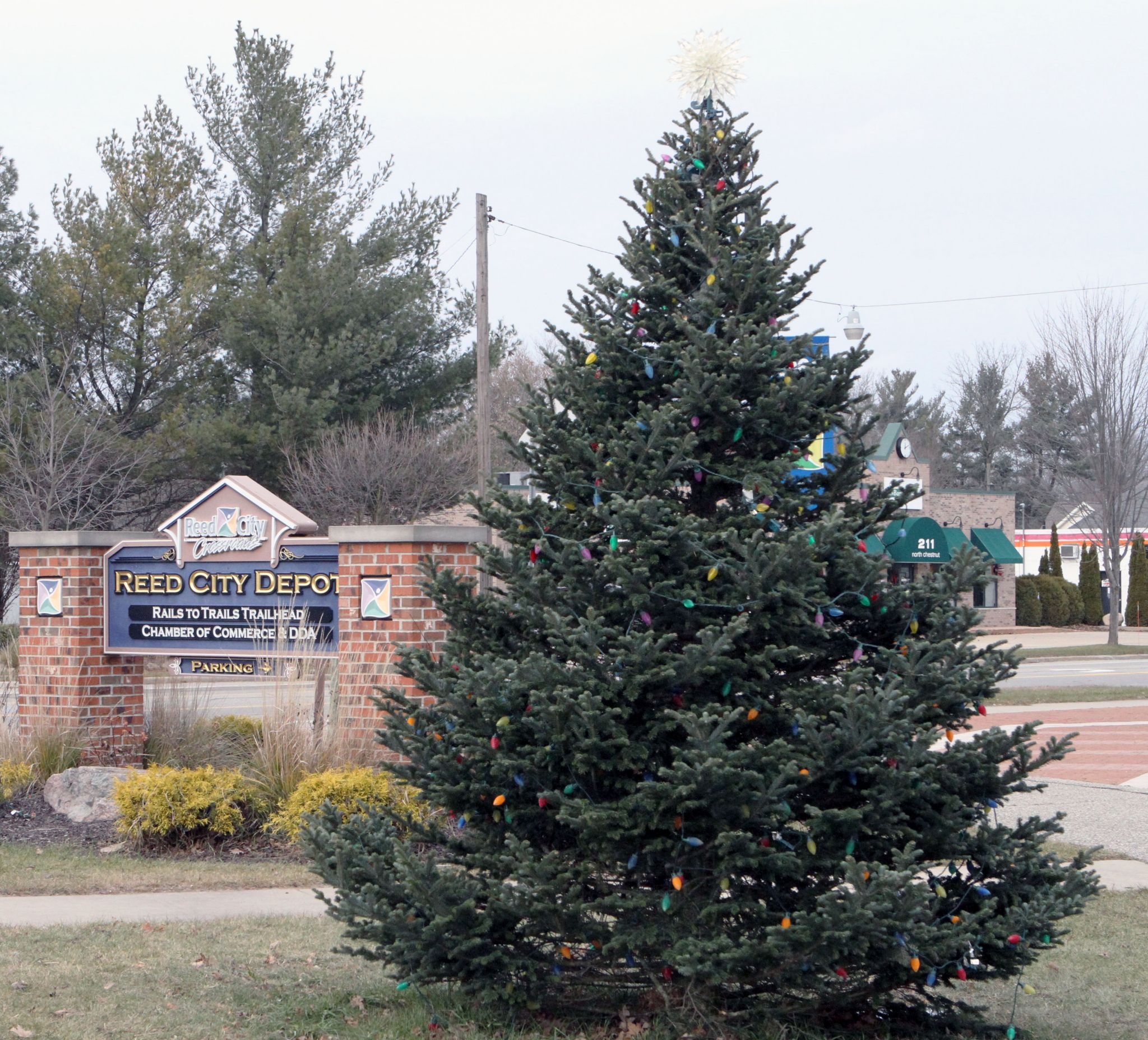 O Christmas tree, O Christmas tree