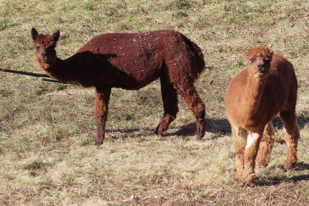 Albany-Hudson Electric Trail offers views, surprises