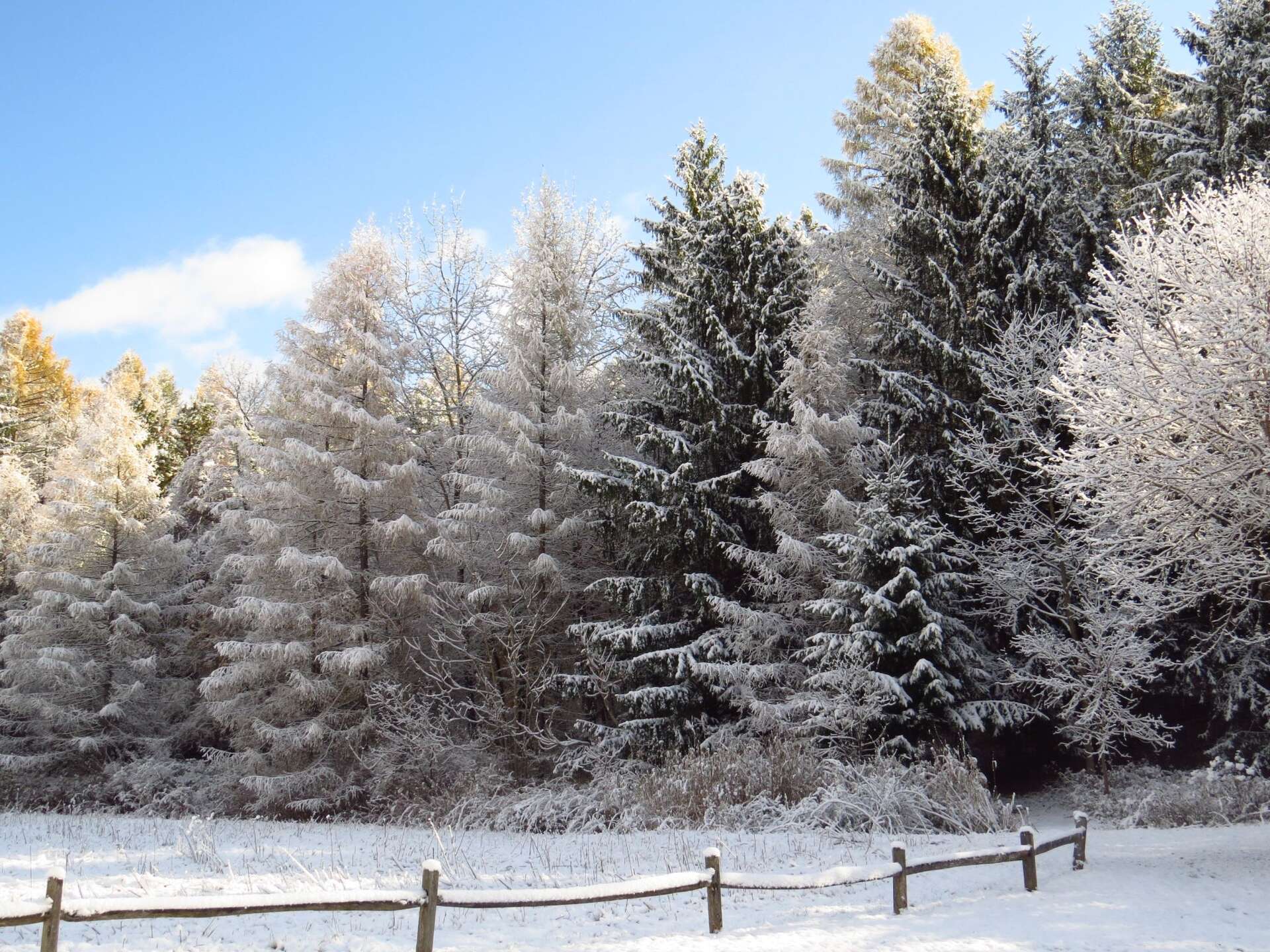 Winter day trip escape to Chatham