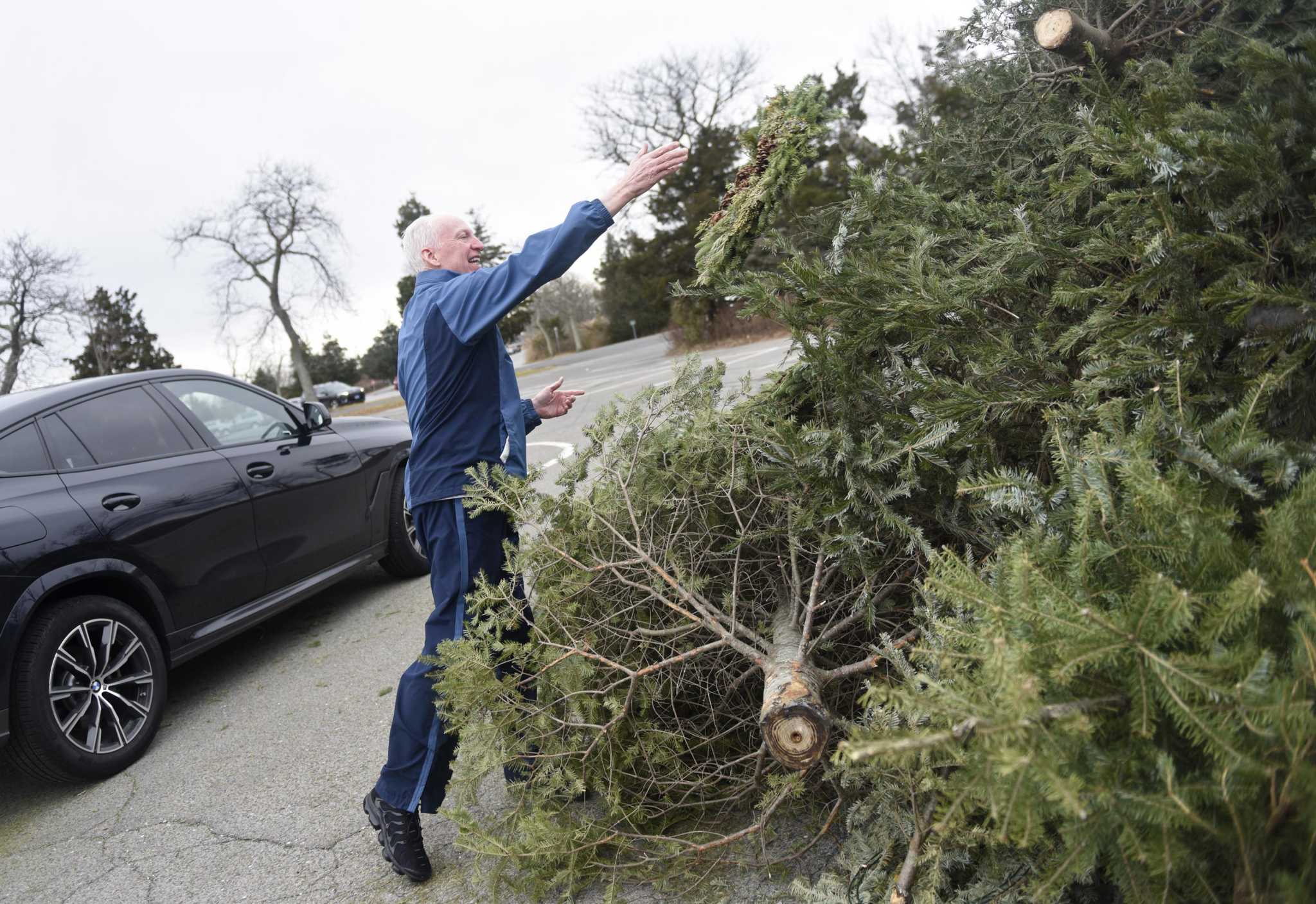 In Photos: Greenwich recycles the holiday by chipping Christmas trees ...