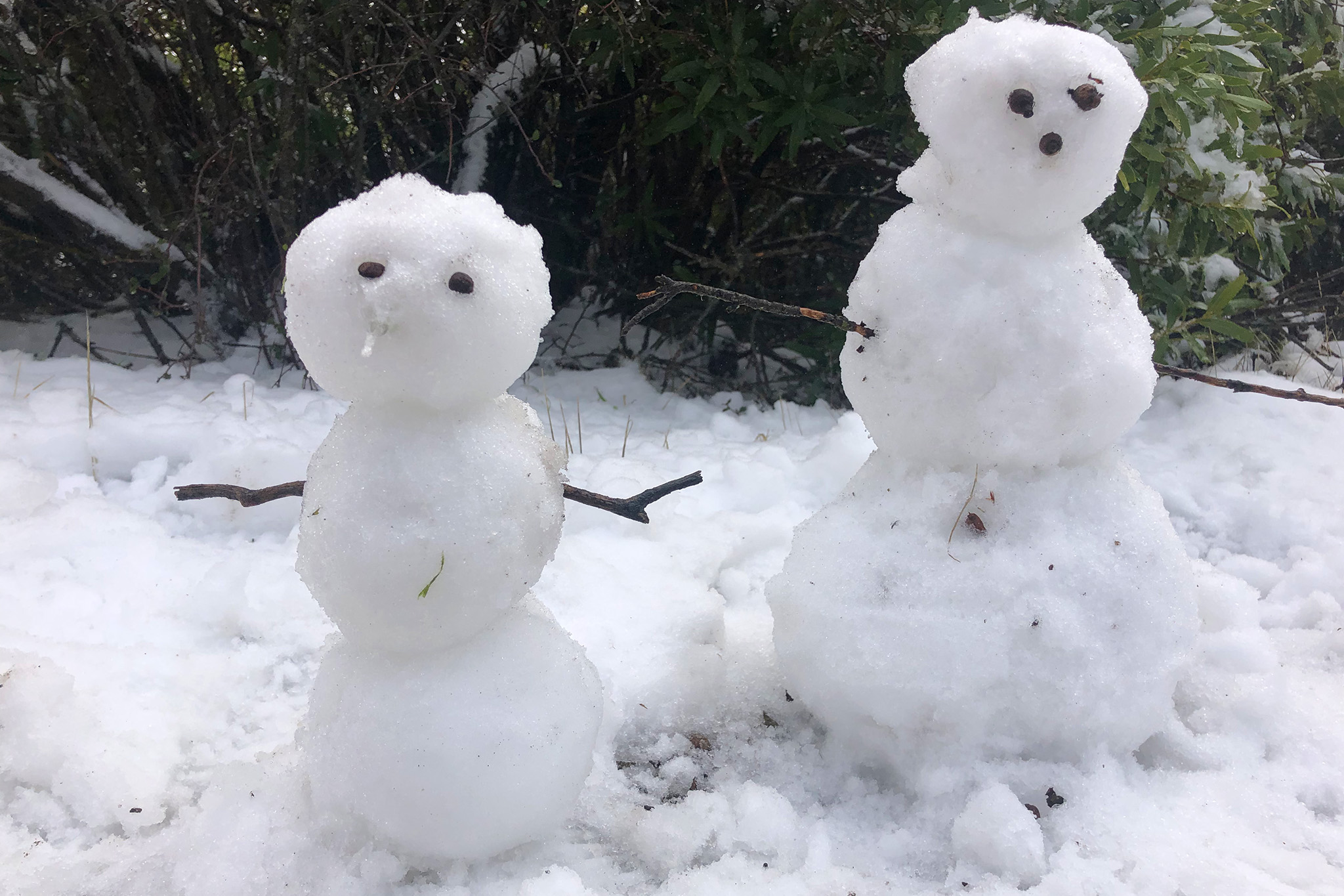 Mount Diablo Snow: Snow seekers had to work hard via a two-mile uphill