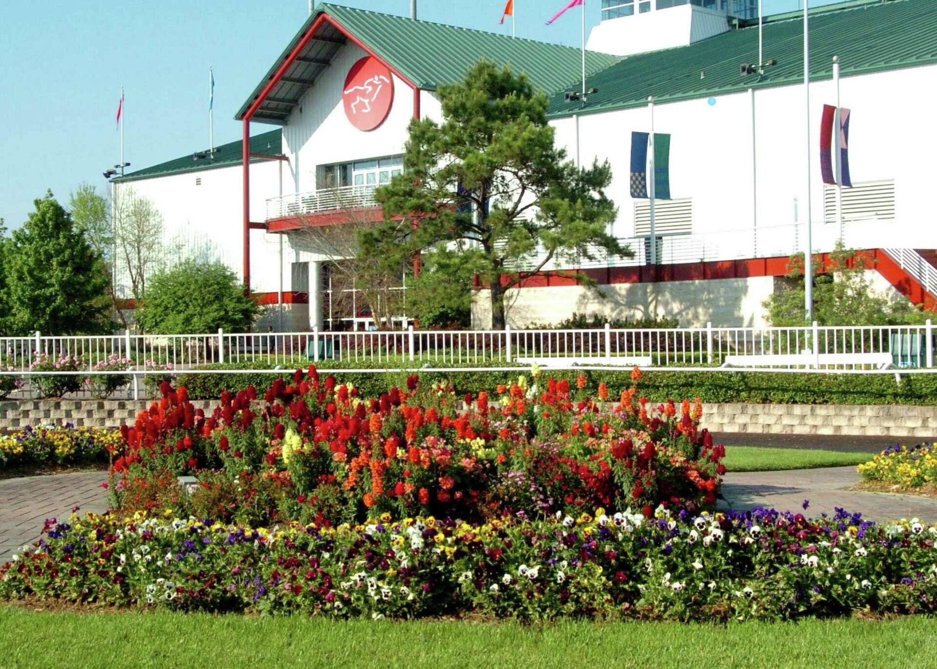 Wiener dog, camel races and more at Sam Houston Race Park