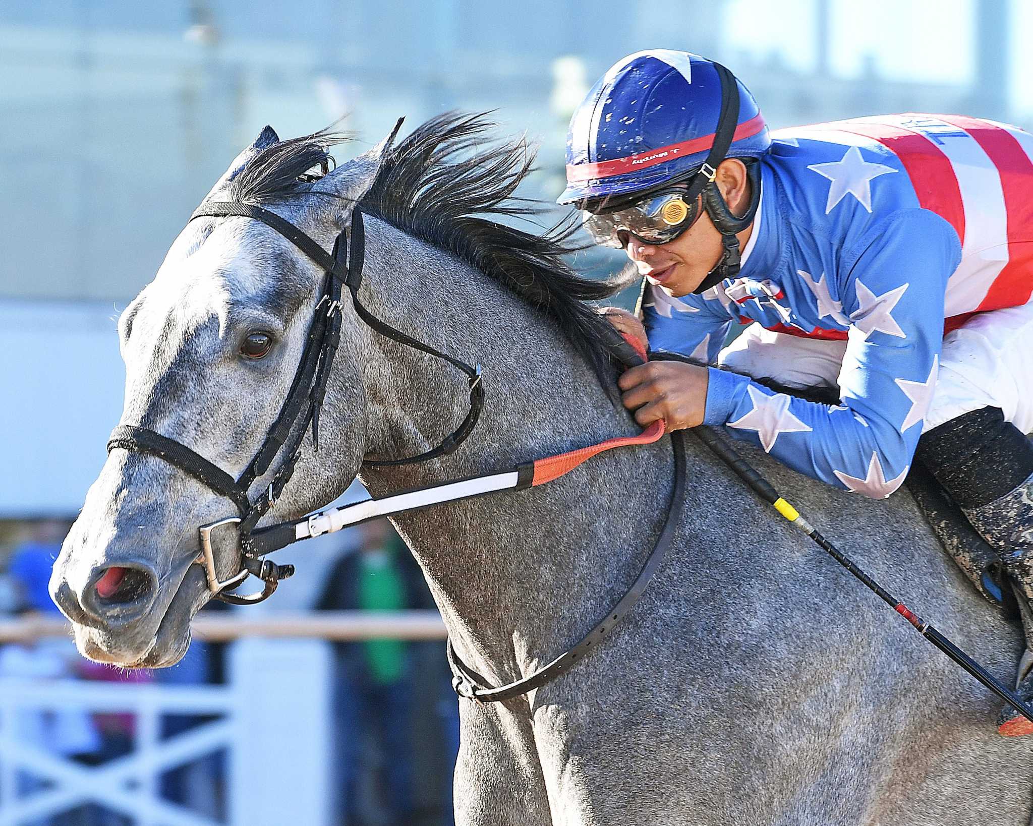 Wiener dog, camel races and more at Sam Houston Race Park