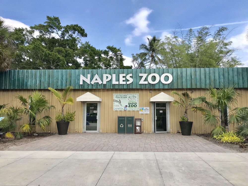 Tiger shot in Florida zoo attack came from Seattle's Woodland Park Zoo