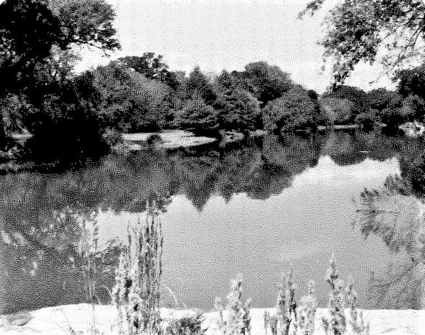 Exploring the history of Los Patios, San Antonio’s enchanted forest