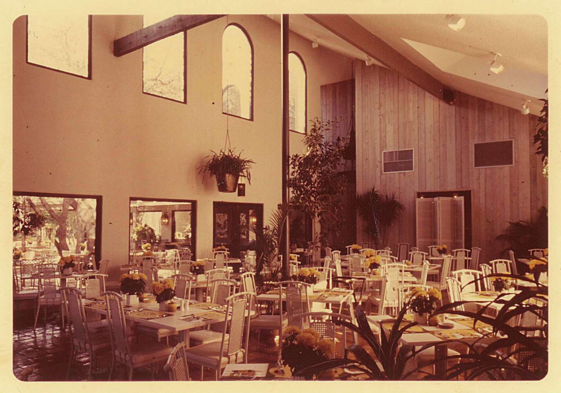 Exploring the history of Los Patios, San Antonio’s enchanted forest