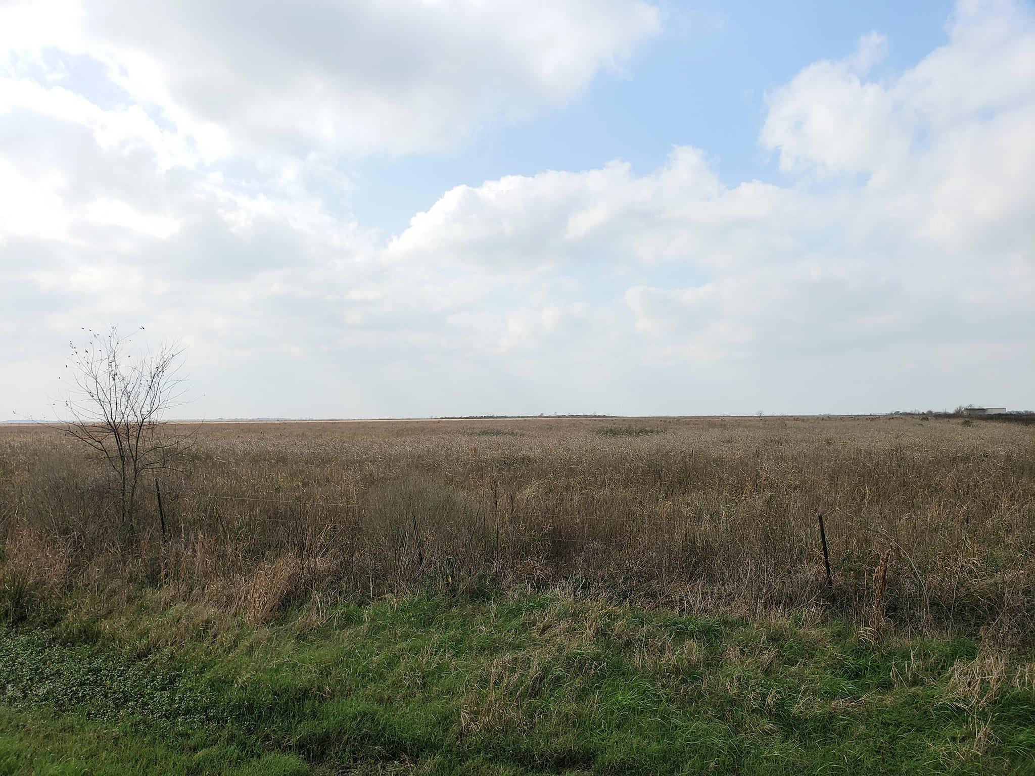 Nearly 1K acres now protected from development in Katy