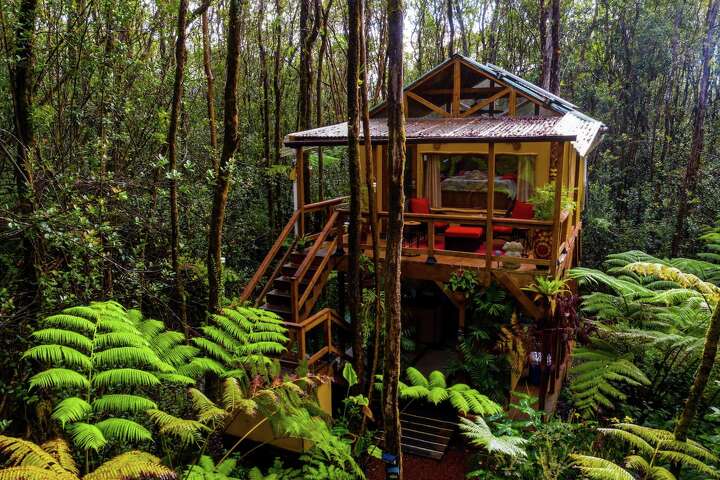 Hawaii’s dreamy jungle tree houses are part of growing trend